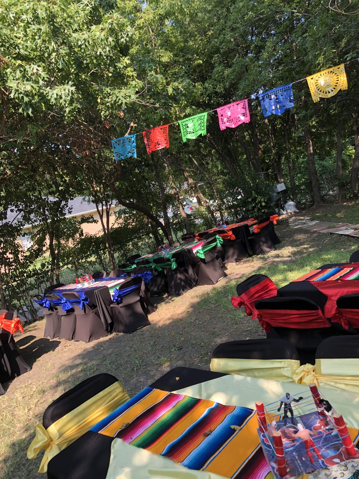 Lucha Libre Birthday Party Ideas | Photo 11 of 22 | Catch My Party