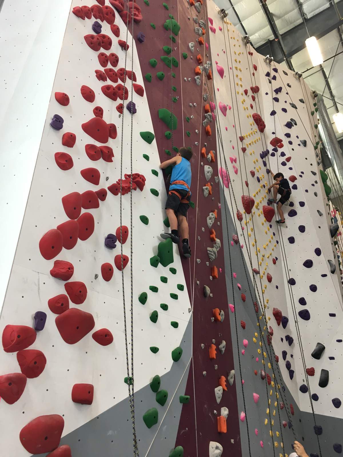 Rock collection and Rock Climbing party Birthday Party Ideas | Photo 2 ...