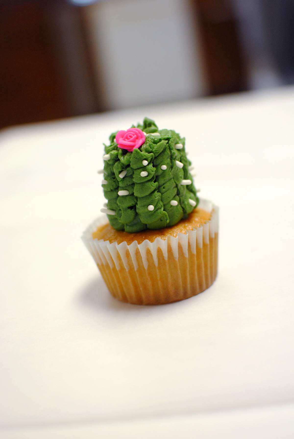 Cactus Birthday Party Ideas | Photo 4 of 16 | Catch My Party