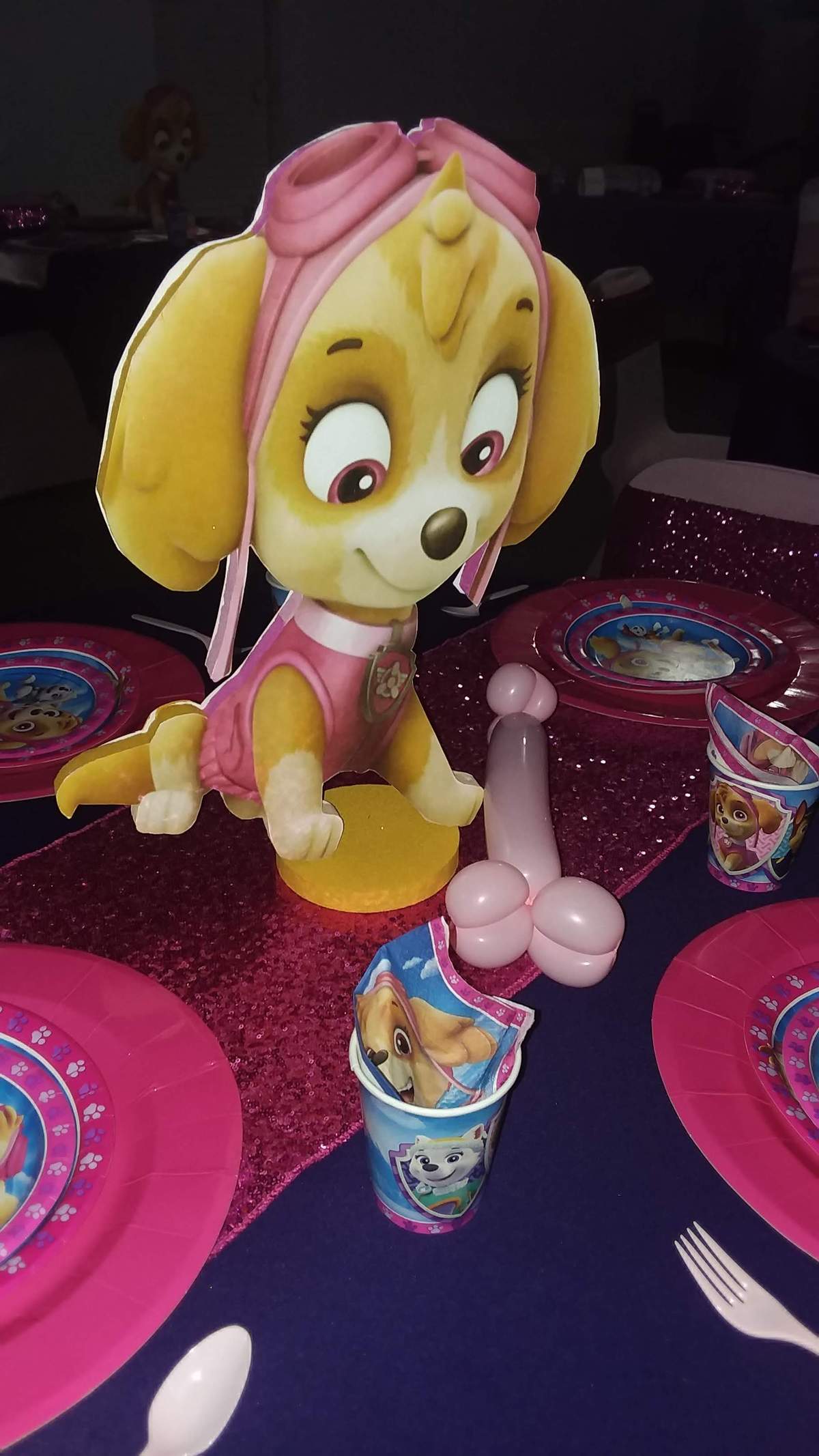 SKYE PAW PATROL Birthday Party Ideas Photo 1 Of 4 Catch My Party skye-paw-patrol-birthday-party-ideas-photo-1-of-4-catch-my-party