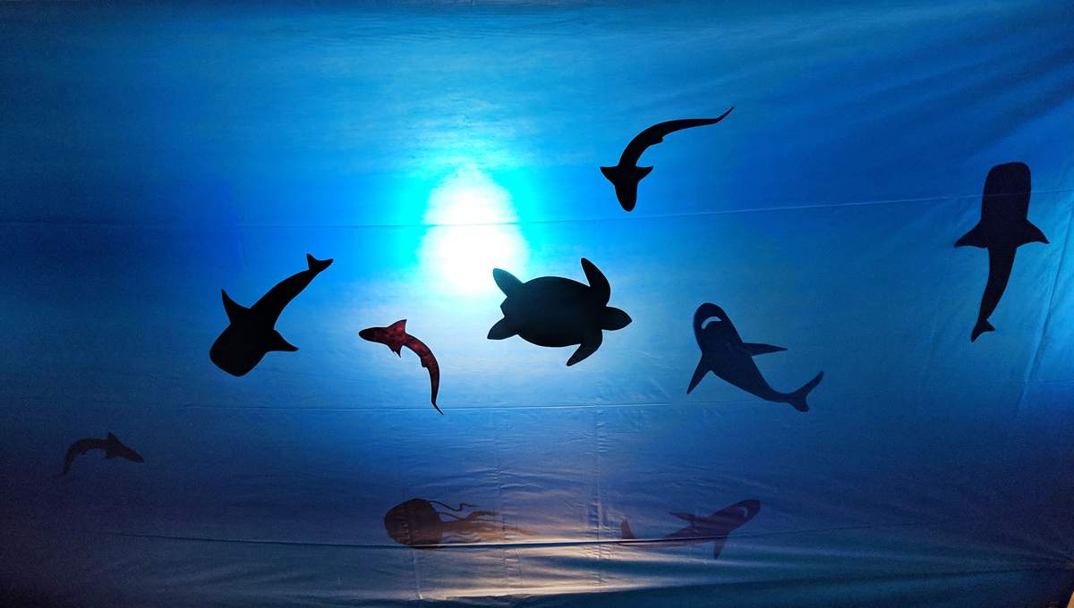 Shark or Sharknado Party Ideas | Photo 6 of 7 | Catch My Party