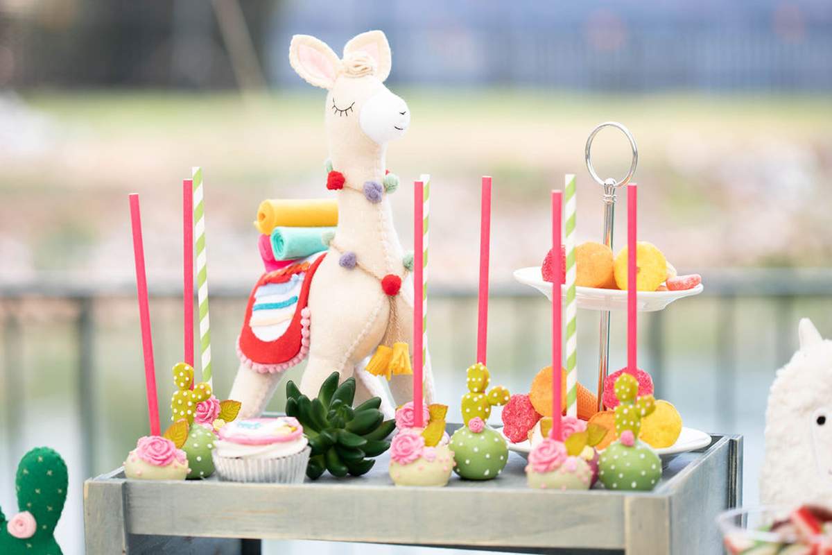 LLama Birthday Party Ideas | Photo 2 of 40 | Catch My Party