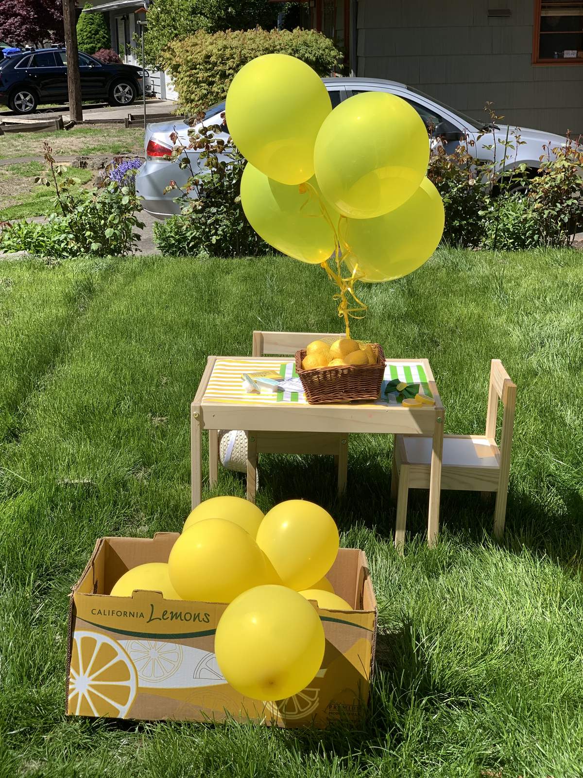 Lemonade Stand Donation Party Party Ideas | Photo 1 of 32 | Catch My Party