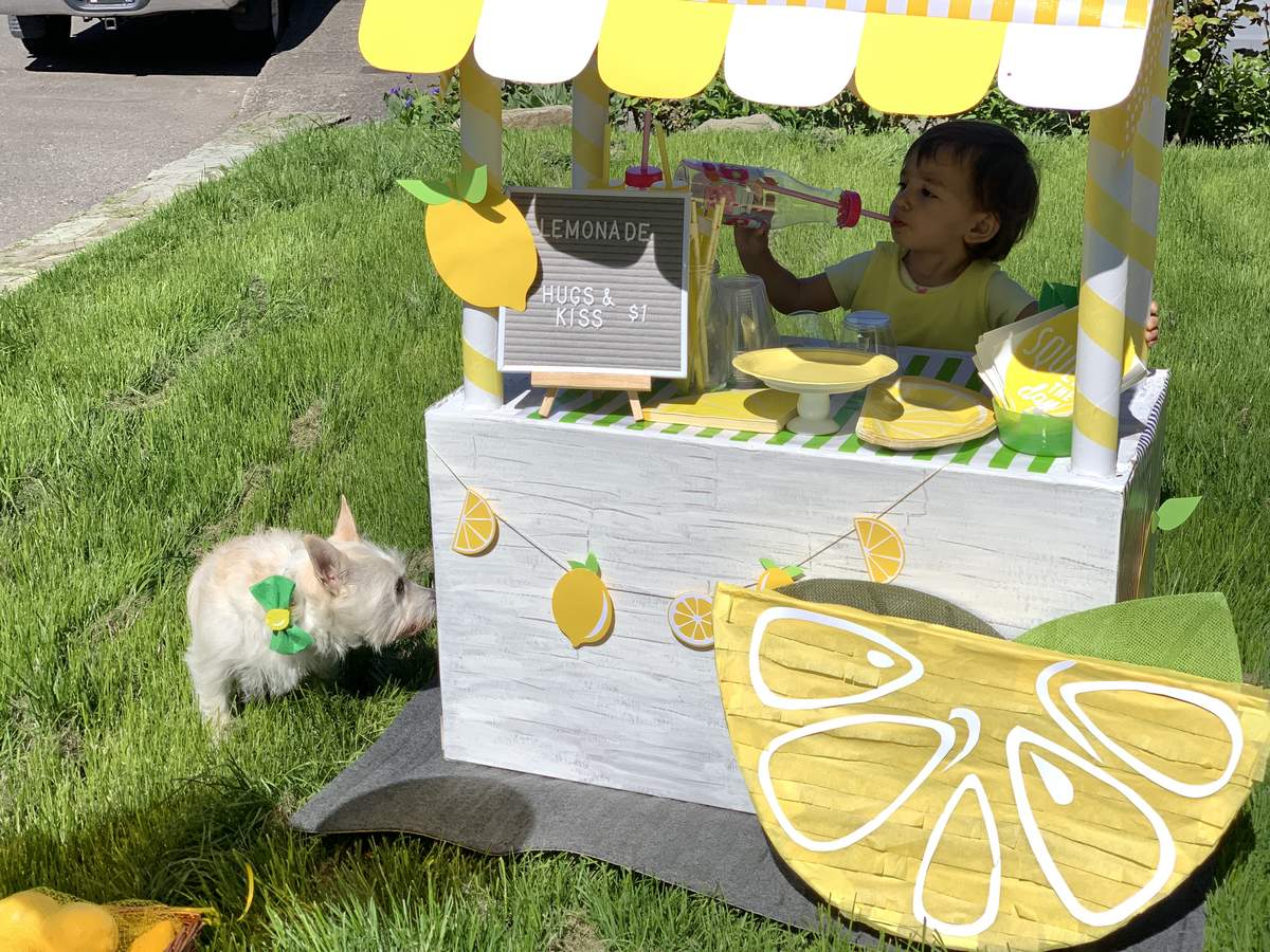 Lemonade Stand Donation Party Party Ideas | Photo 1 of 32 | Catch My Party