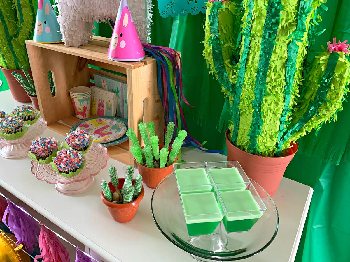 Llama Birthday Party Ideas | Photo 1 of 11 | Catch My Party