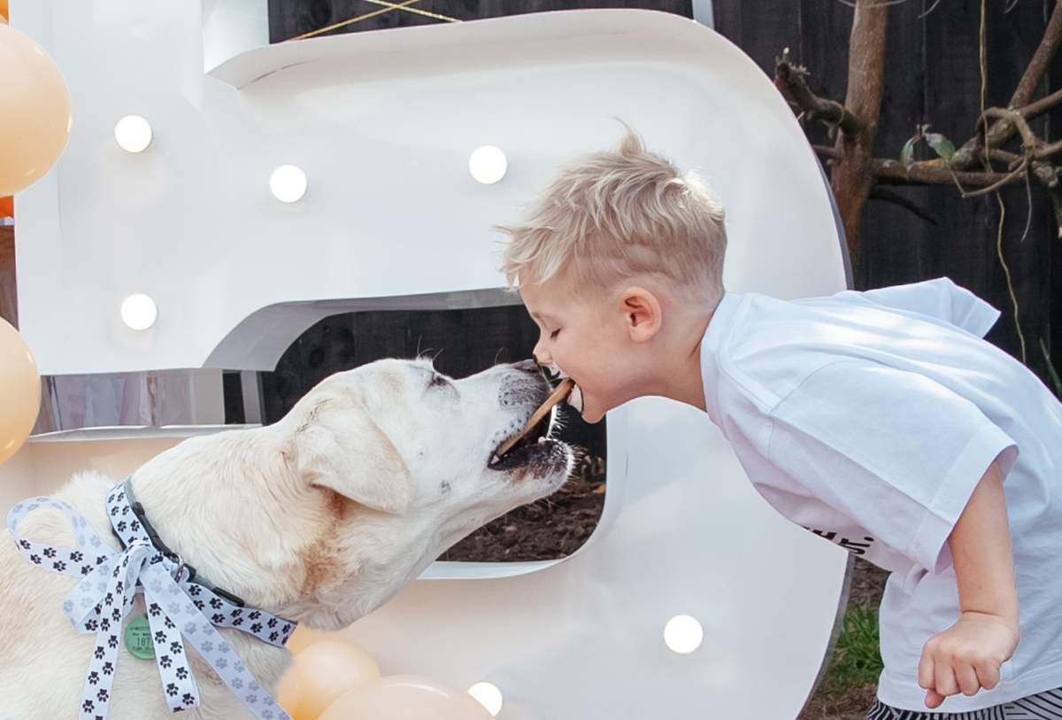 Golden labrador Birthday Party Ideas | Photo 4 of 21 | Catch My Party