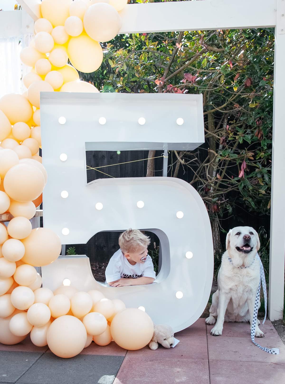 Golden labrador Birthday Party Ideas | Photo 1 of 21 | Catch My Party