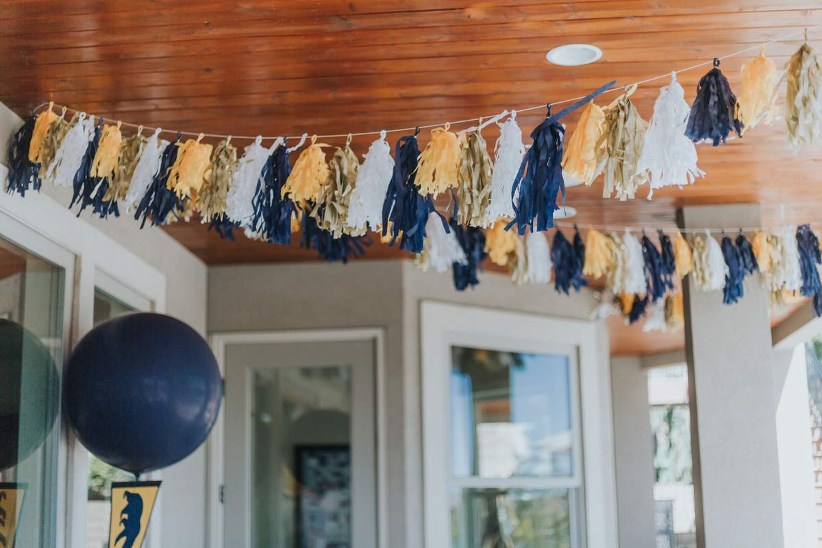 Berkeley Bears Grad Party Graduation/End of School Party Ideas | Photo ...