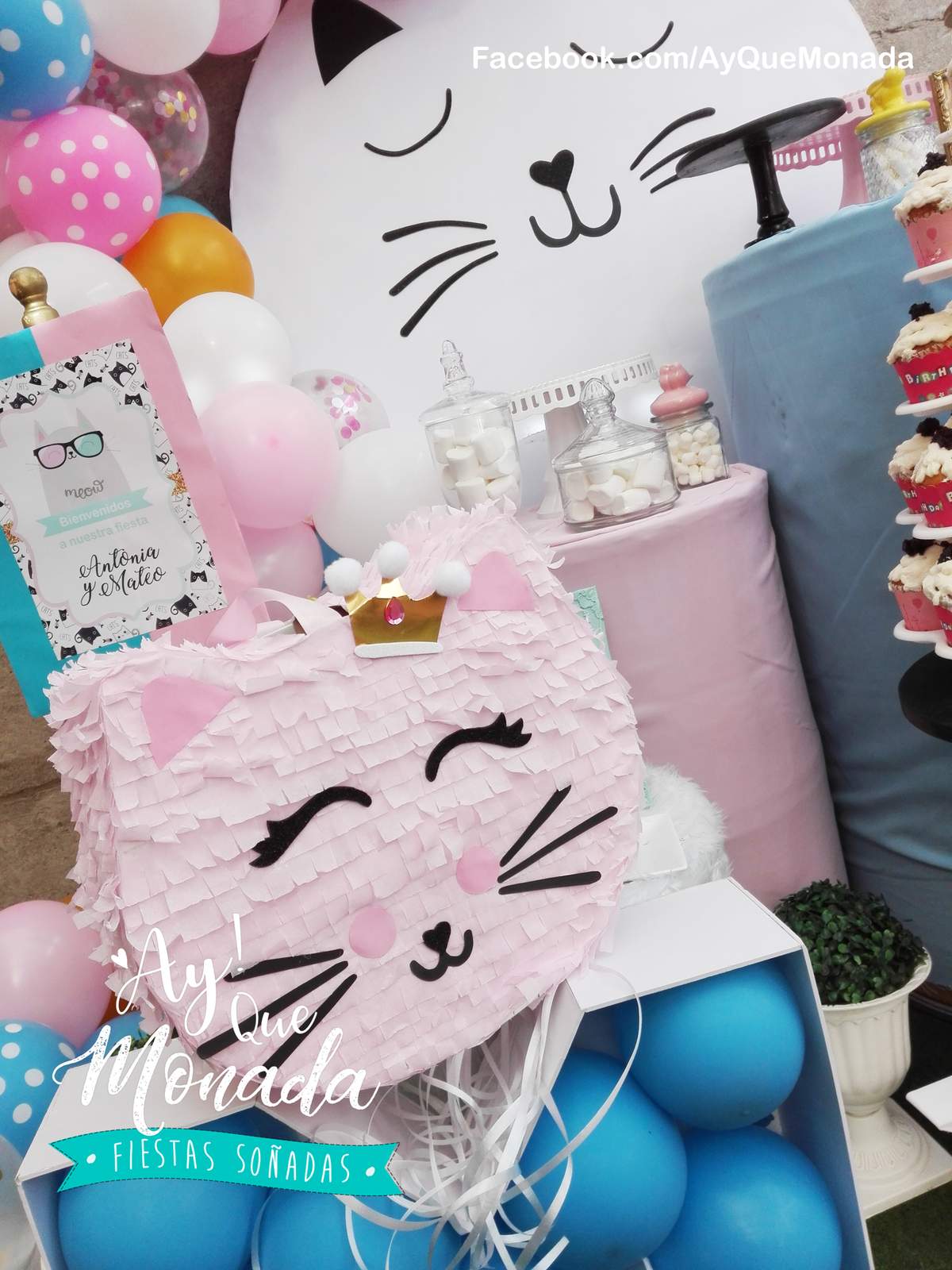 Kitty party Birthday Party Ideas | Photo 6 of 12 | Catch My Party