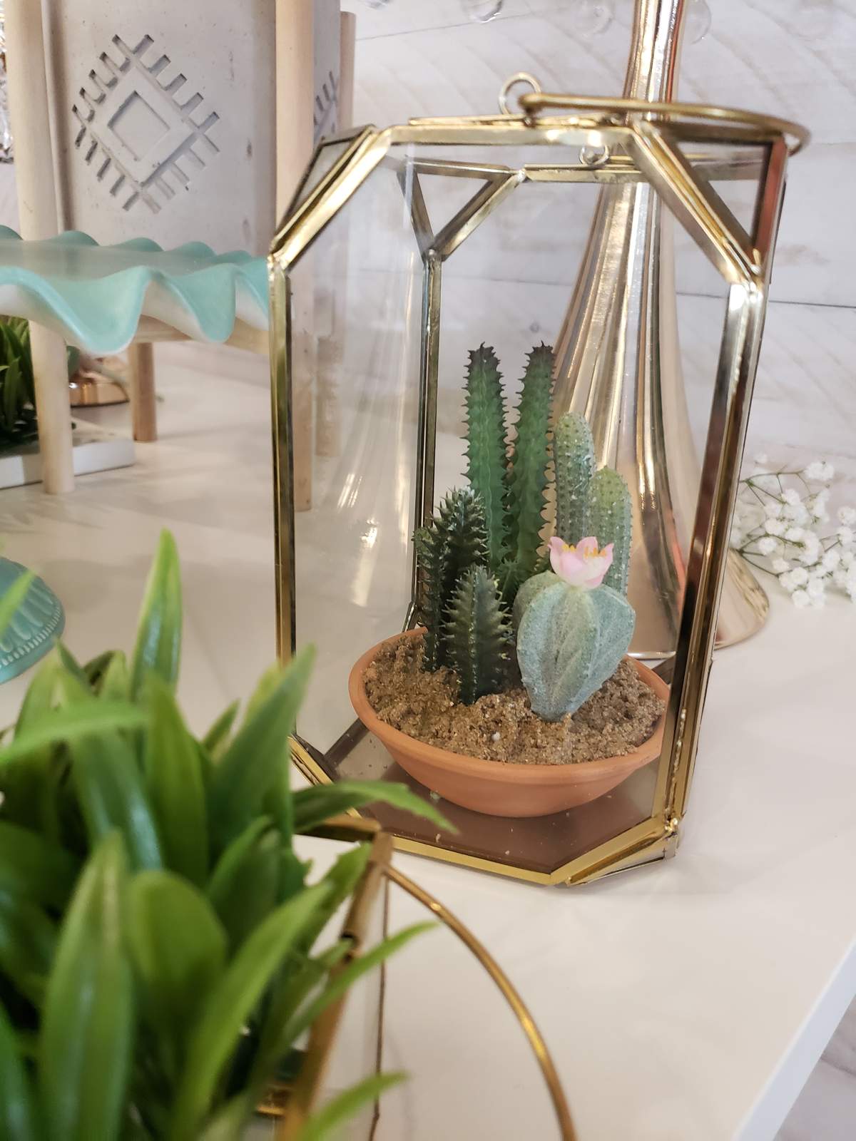 Cactus theme Birthday Party Ideas | Photo 1 of 31 | Catch My Party