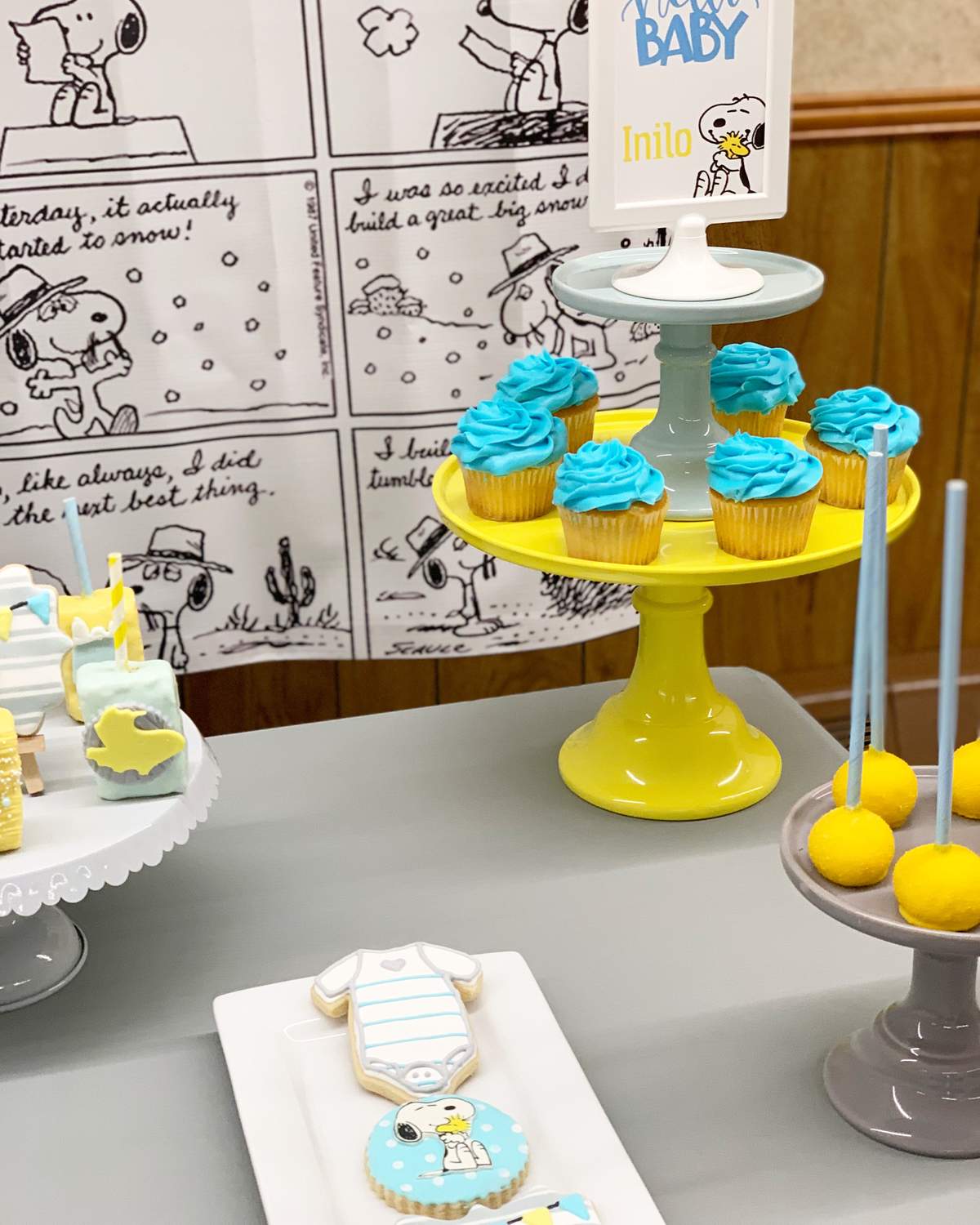 Snoopy Baby Shower Party Ideas | Photo 1 of 46 | Catch My Party