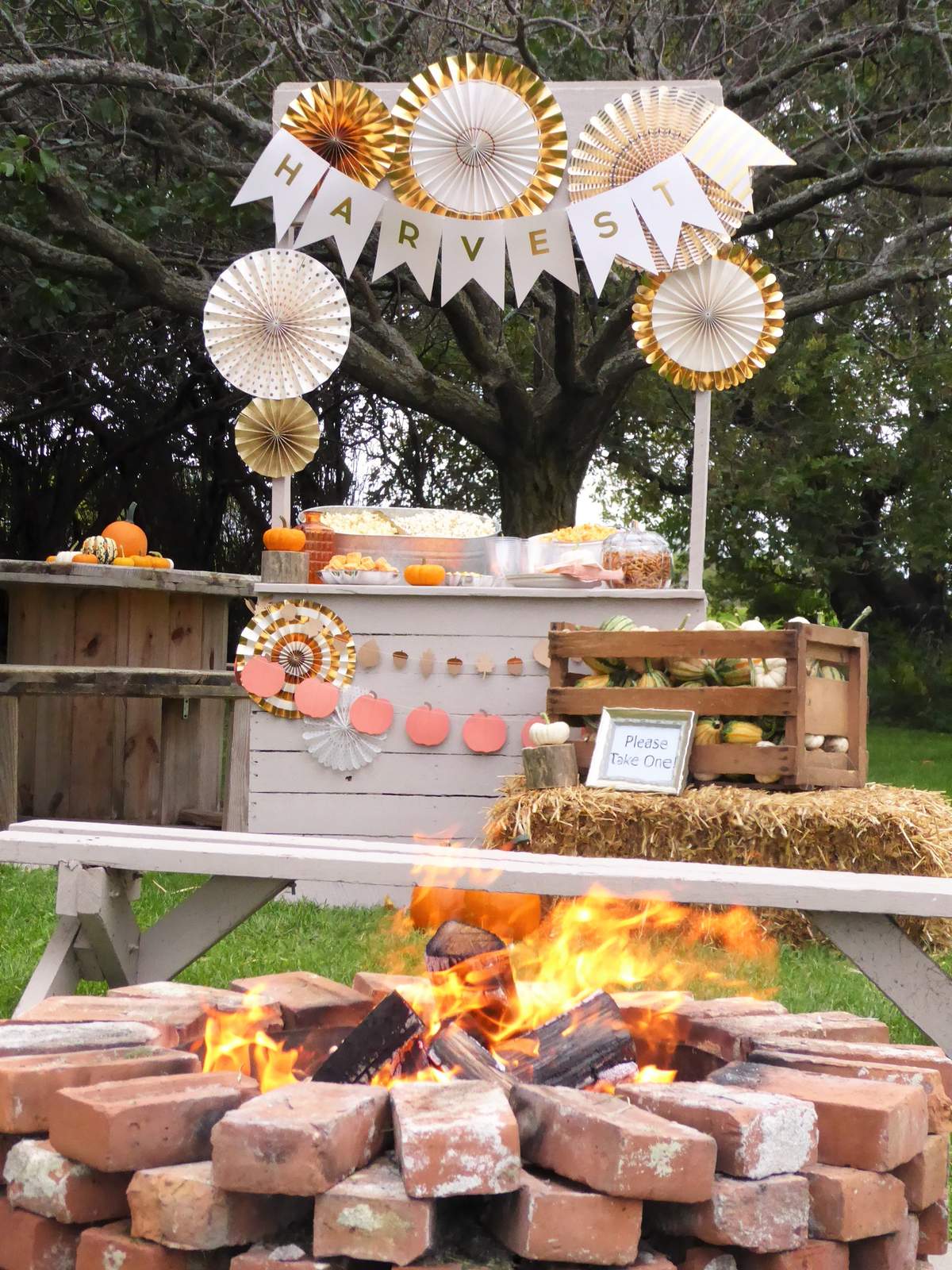 Fall Harvest Thanksgiving/Fall Party Ideas | Photo 6 of 18 | Catch My Party