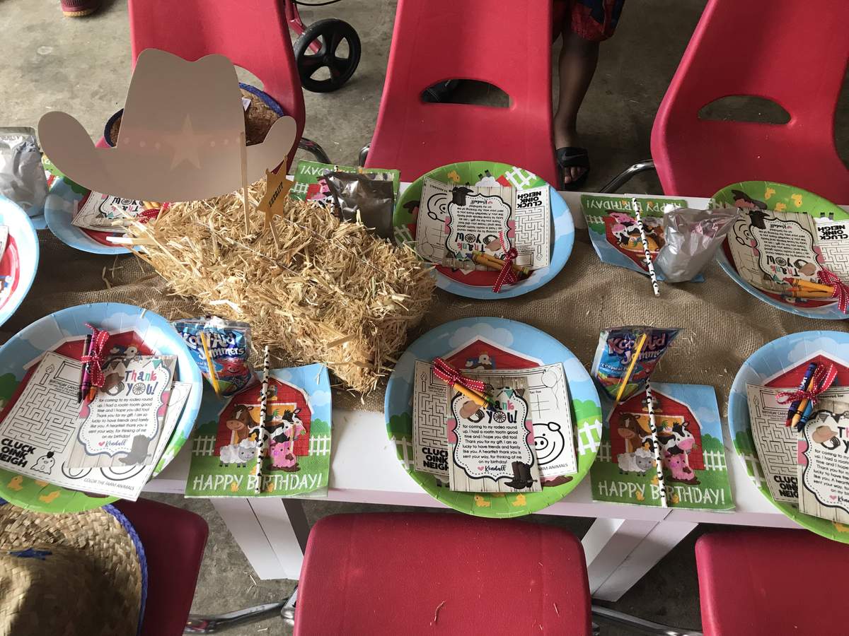 Country Farm Birthday Party Ideas | Photo 14 of 17 | Catch My Party