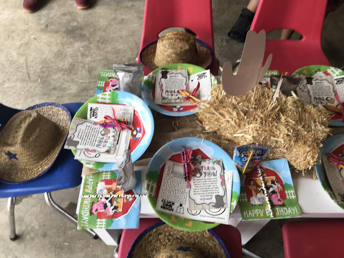 Country Farm Birthday Party Ideas | Photo 14 of 17 | Catch My Party