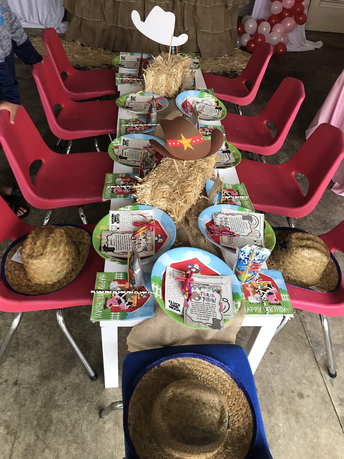 Country Farm Birthday Party Ideas | Photo 14 of 17 | Catch My Party