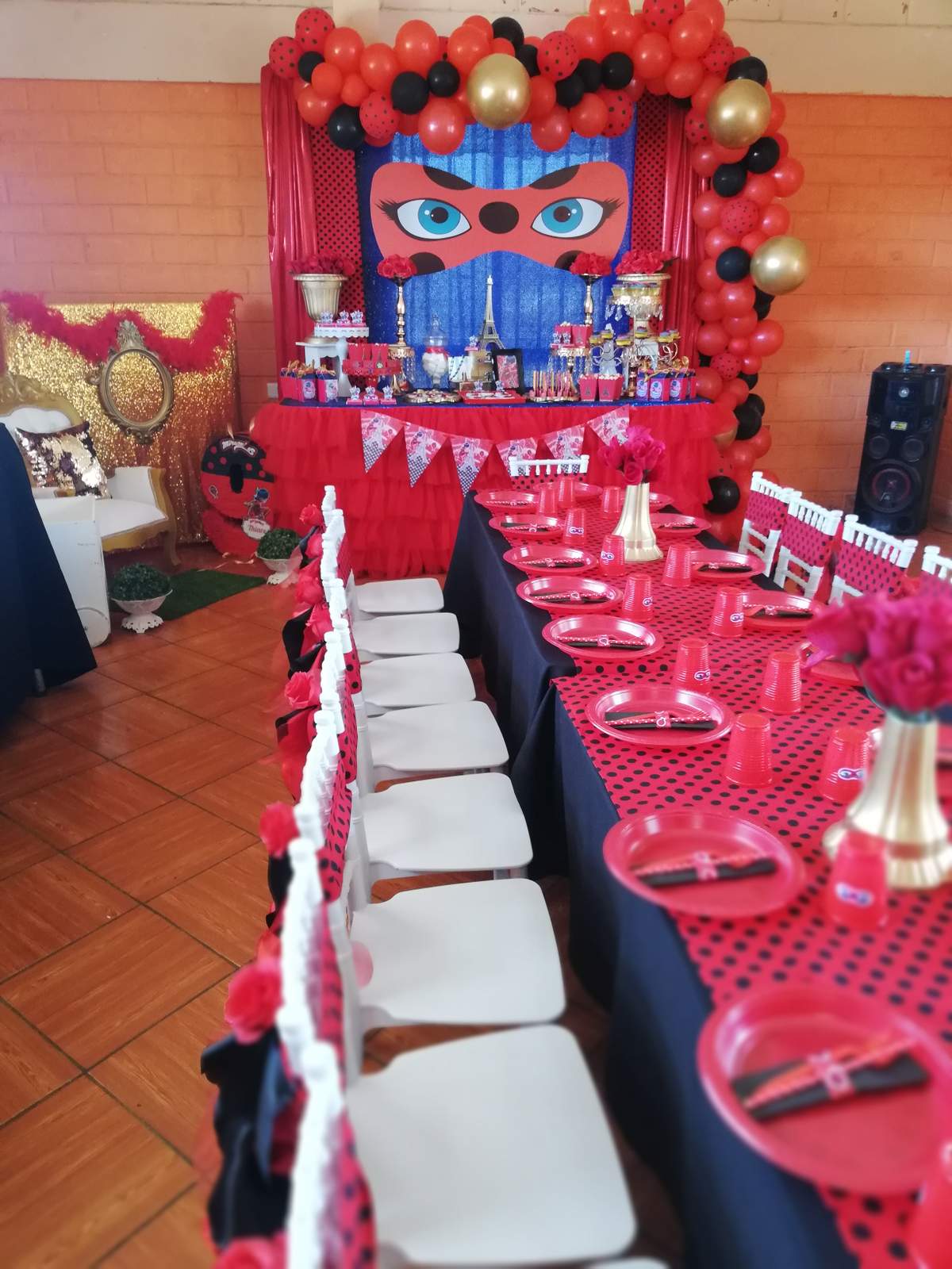 Ladybug / Birthday " Ladybug party" | Catch My Party