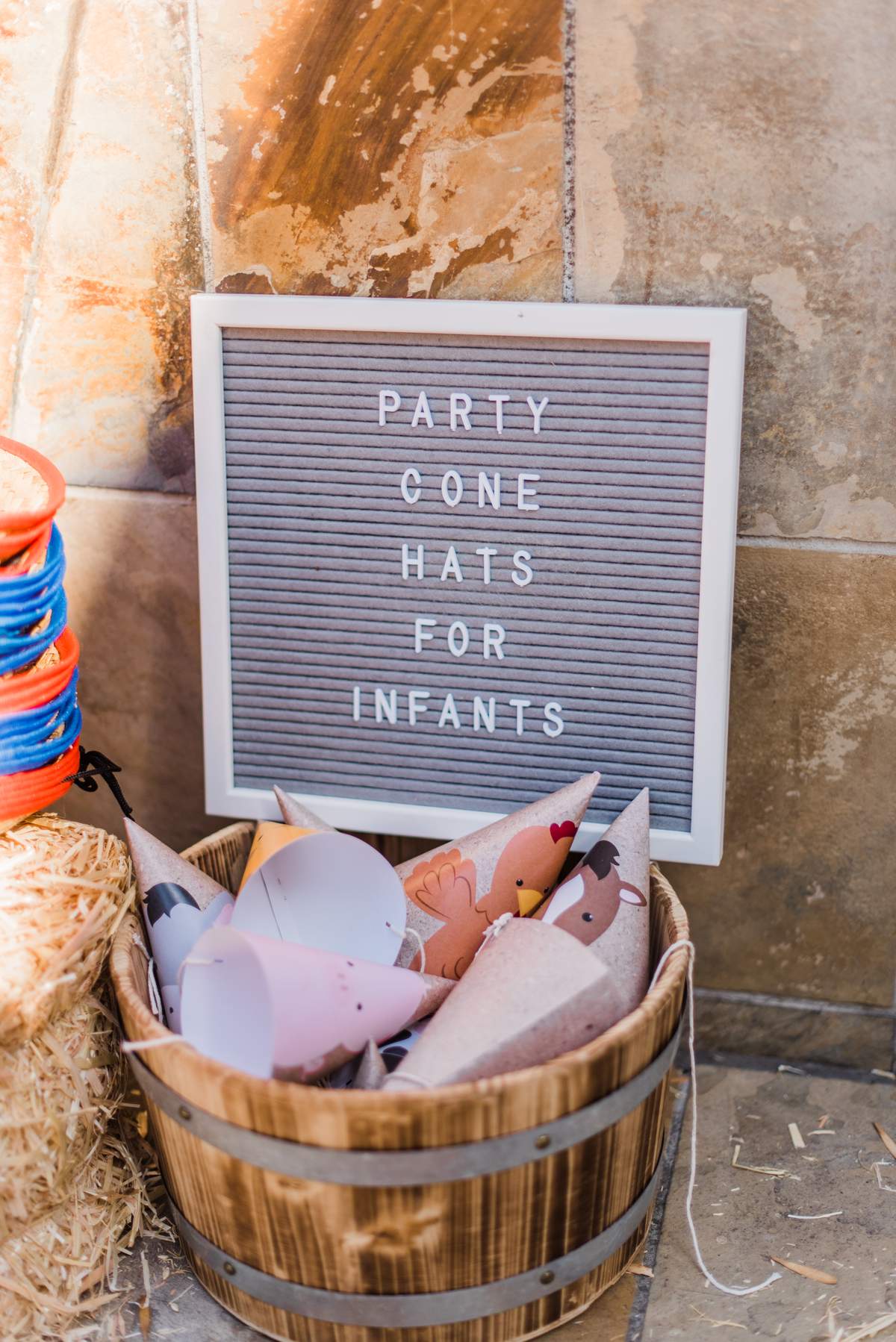 Farm and Barnyard Birthday Party Ideas | Photo 24 of 97 | Catch My Party