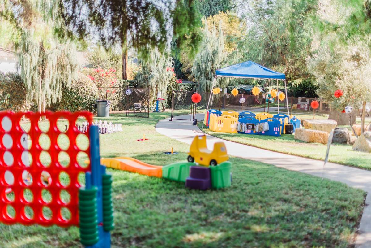 Farm and Barnyard Birthday Party Ideas | Photo 24 of 97 | Catch My Party