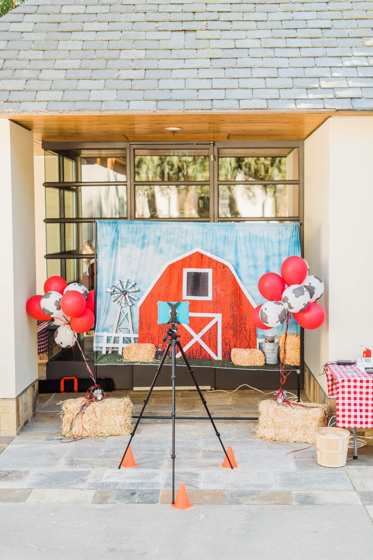 Farm and Barnyard Birthday Party Ideas | Photo 22 of 97 | Catch My Party