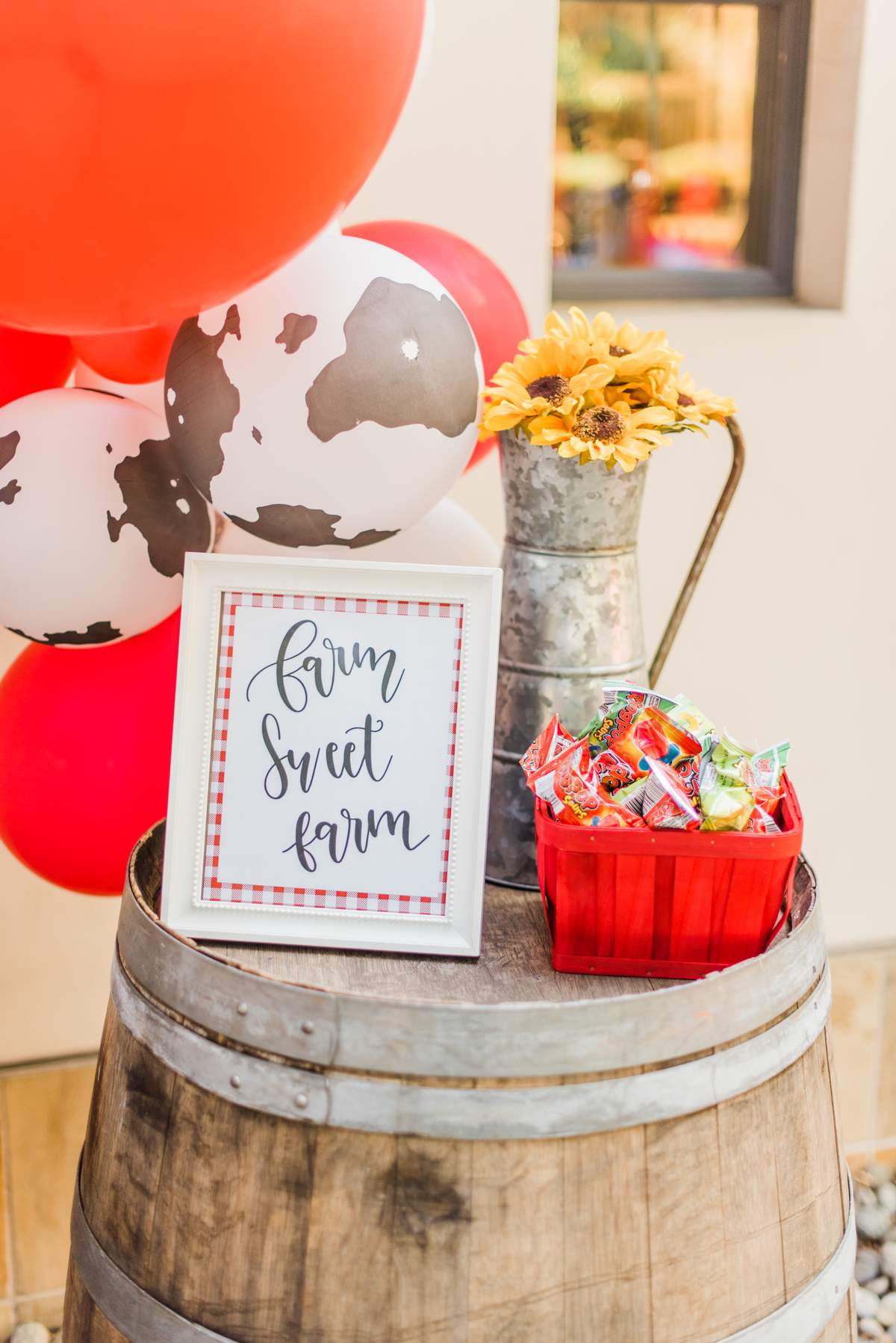 Farm and Barnyard Birthday Party Ideas | Photo 24 of 97 | Catch My Party