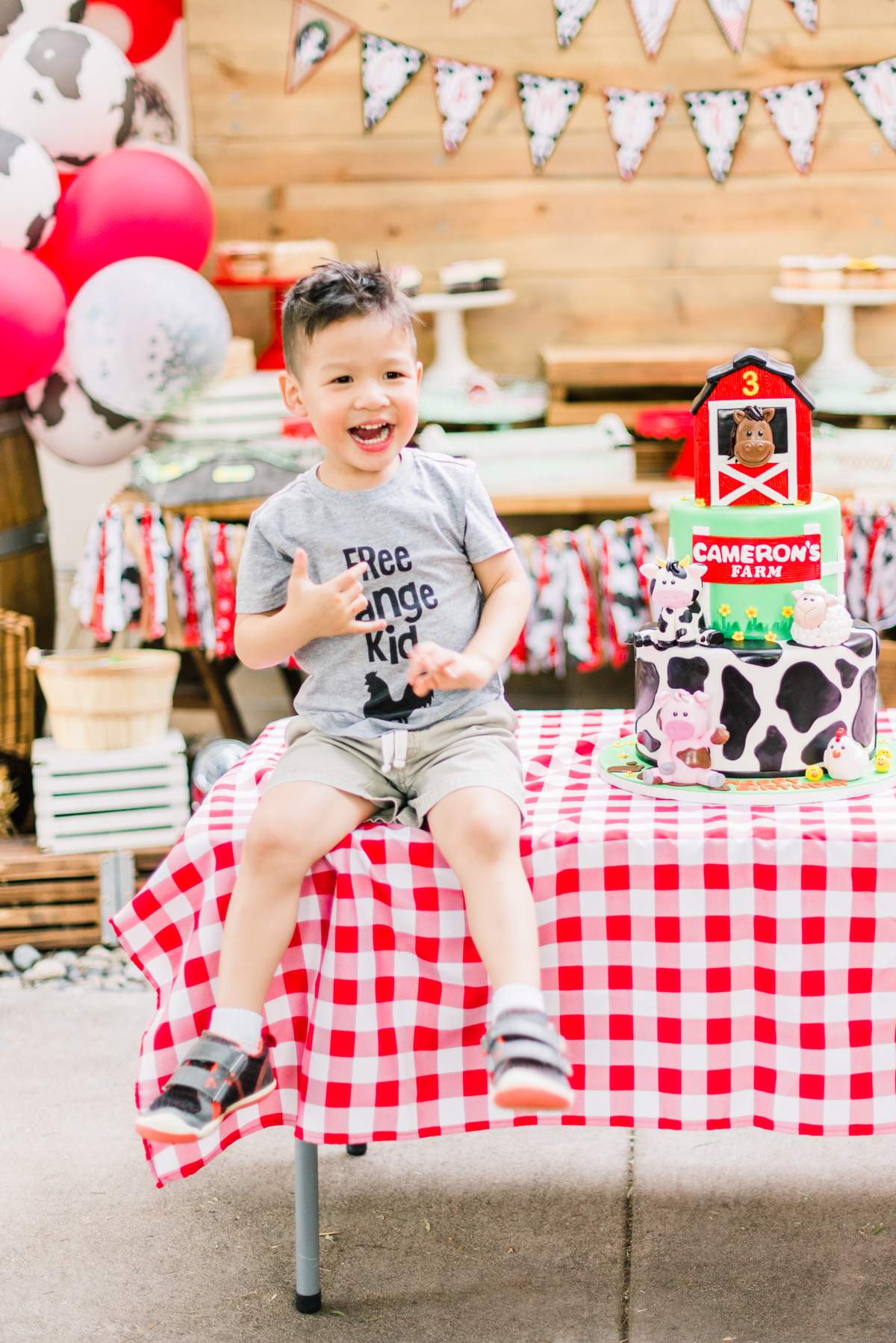 Farm and Barnyard Birthday Party Ideas | Photo 24 of 97 | Catch My Party