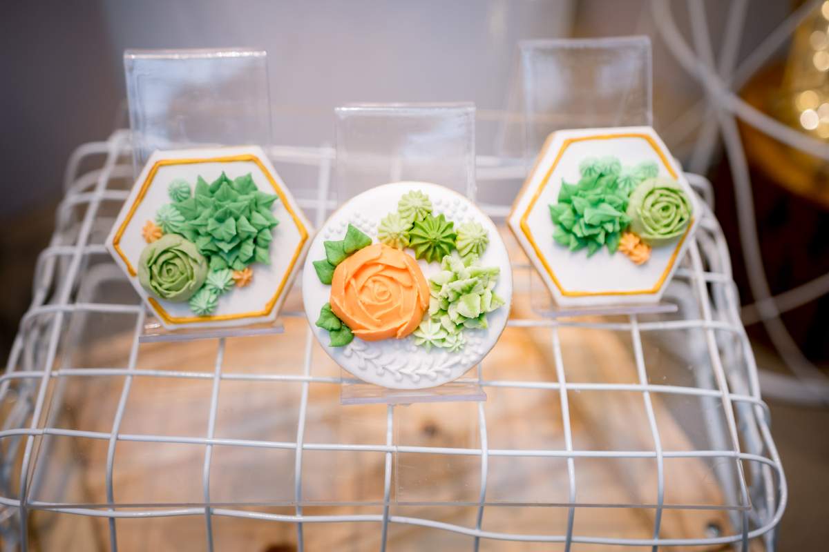 Cactus / Succulent Theme Birthday Party Ideas | Photo 1 of 25 | Catch ...