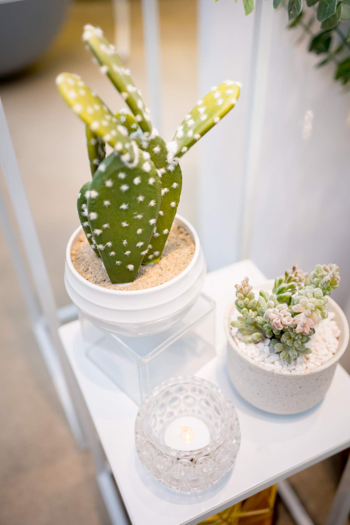 Cactus / Succulent Theme Birthday Party Ideas | Photo 1 of 25 | Catch ...