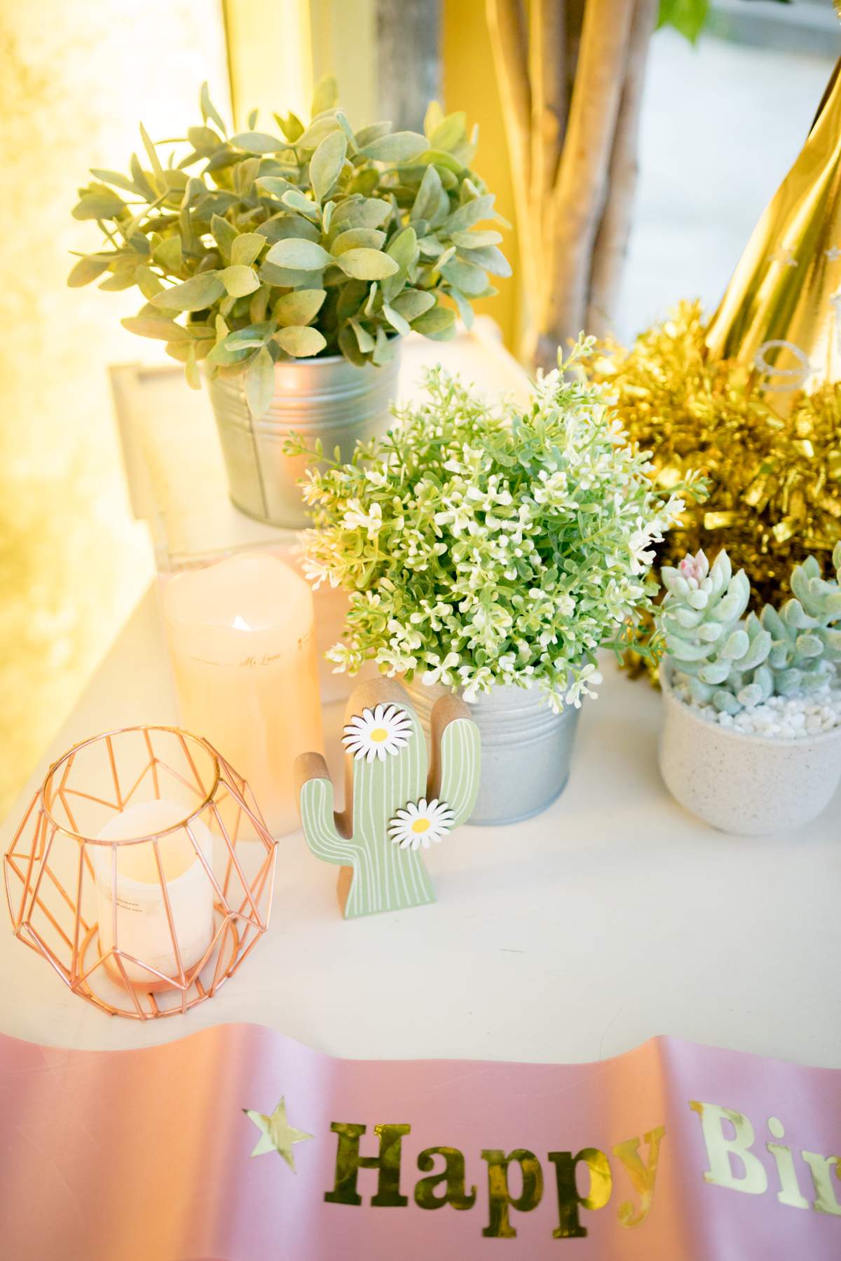 Cactus / Succulent Theme Birthday Party Ideas | Photo 2 of 25 | Catch ...
