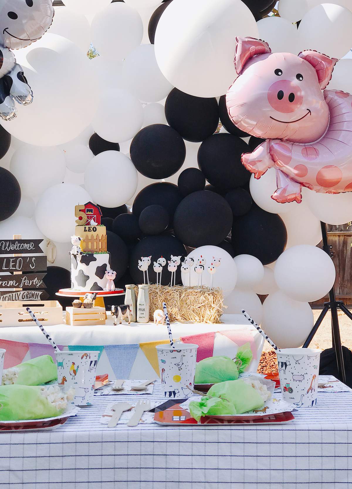 Modern Farm Birthday Party Ideas | Photo 1 of 13 | Catch My Party