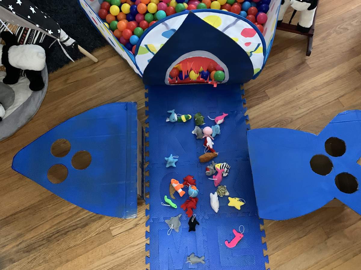 Safari (Jungle) Animals, Circus, and Sharks Birthday Party Ideas ...