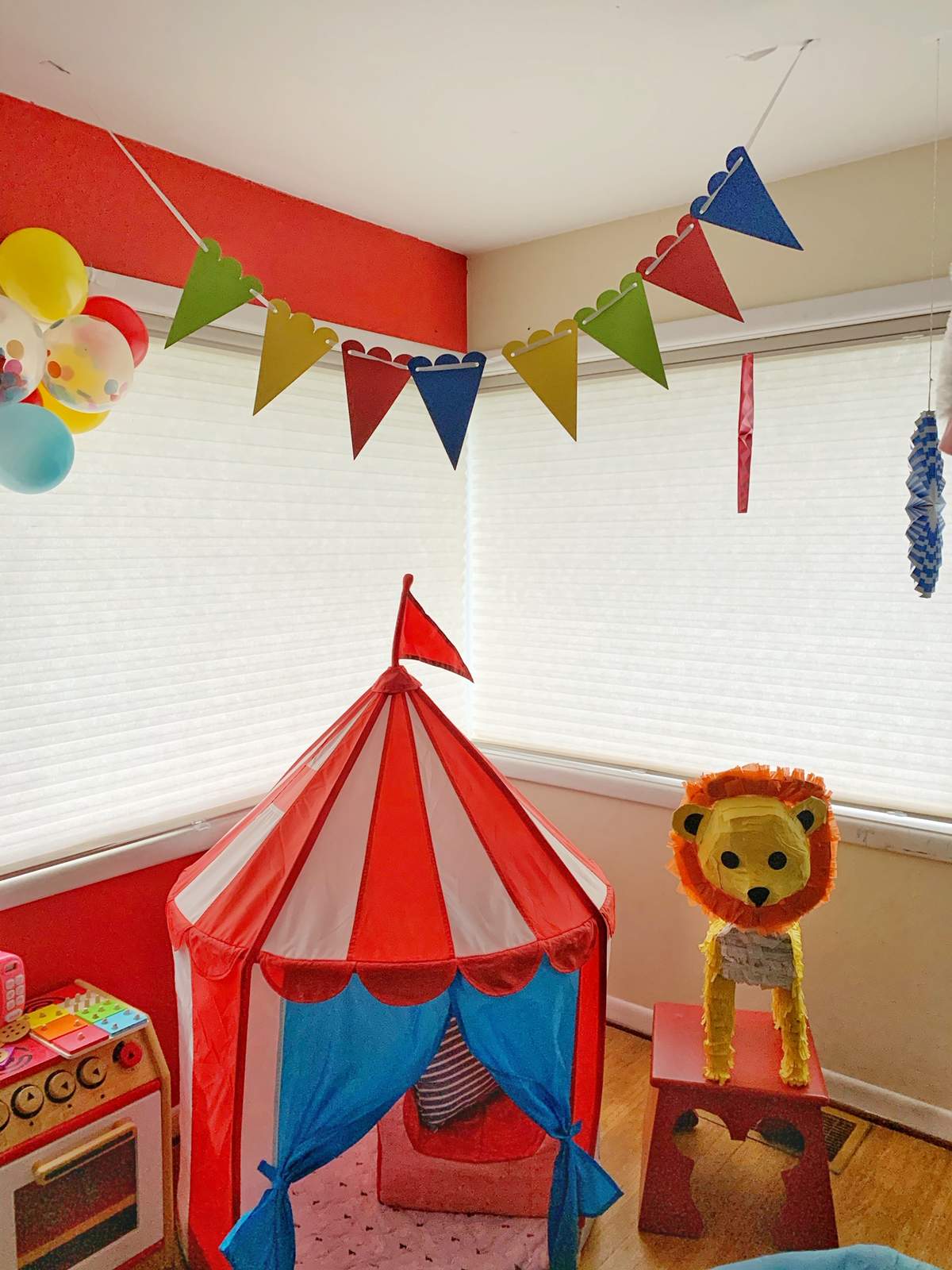 Safari (Jungle) Animals, Circus, and Sharks Birthday Party Ideas ...