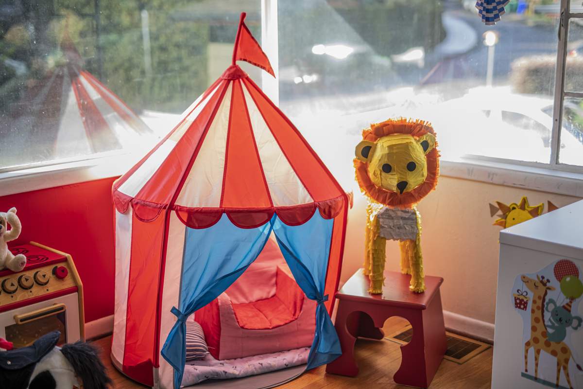 Safari (Jungle) Animals, Circus, and Sharks Birthday Party Ideas ...