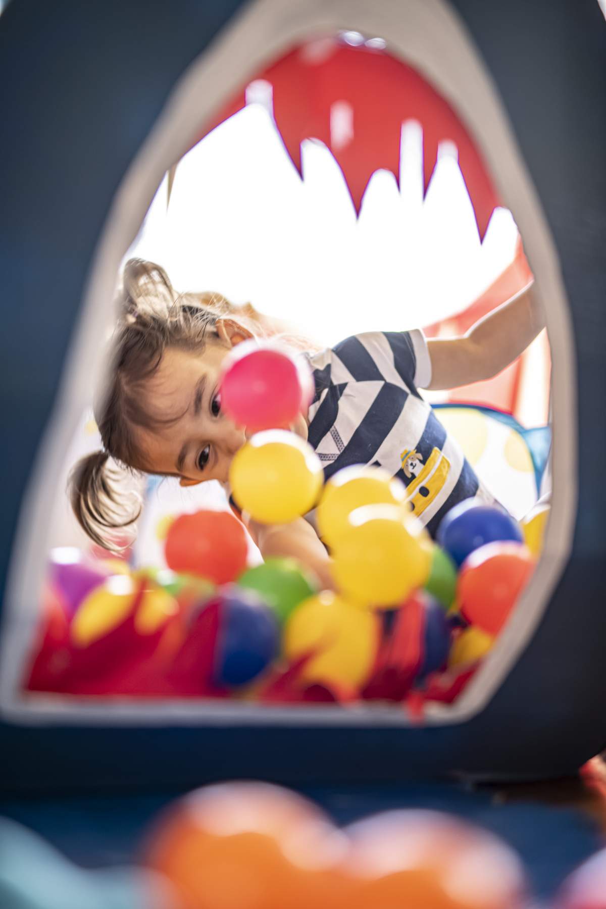 Safari (Jungle) Animals, Circus, and Sharks Birthday Party Ideas ...