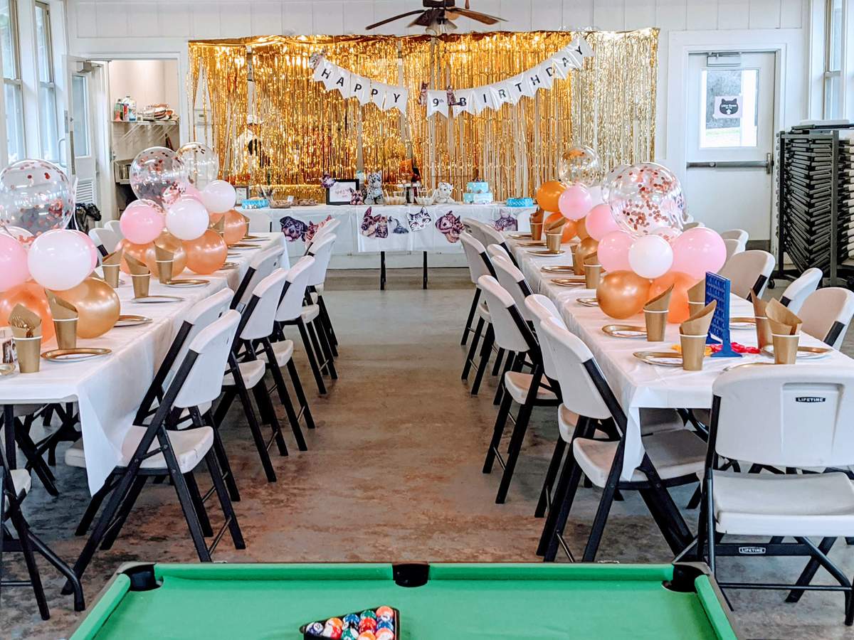 Animals - cat and dog Birthday Party Ideas | Photo 3 of 22 | Catch My Party