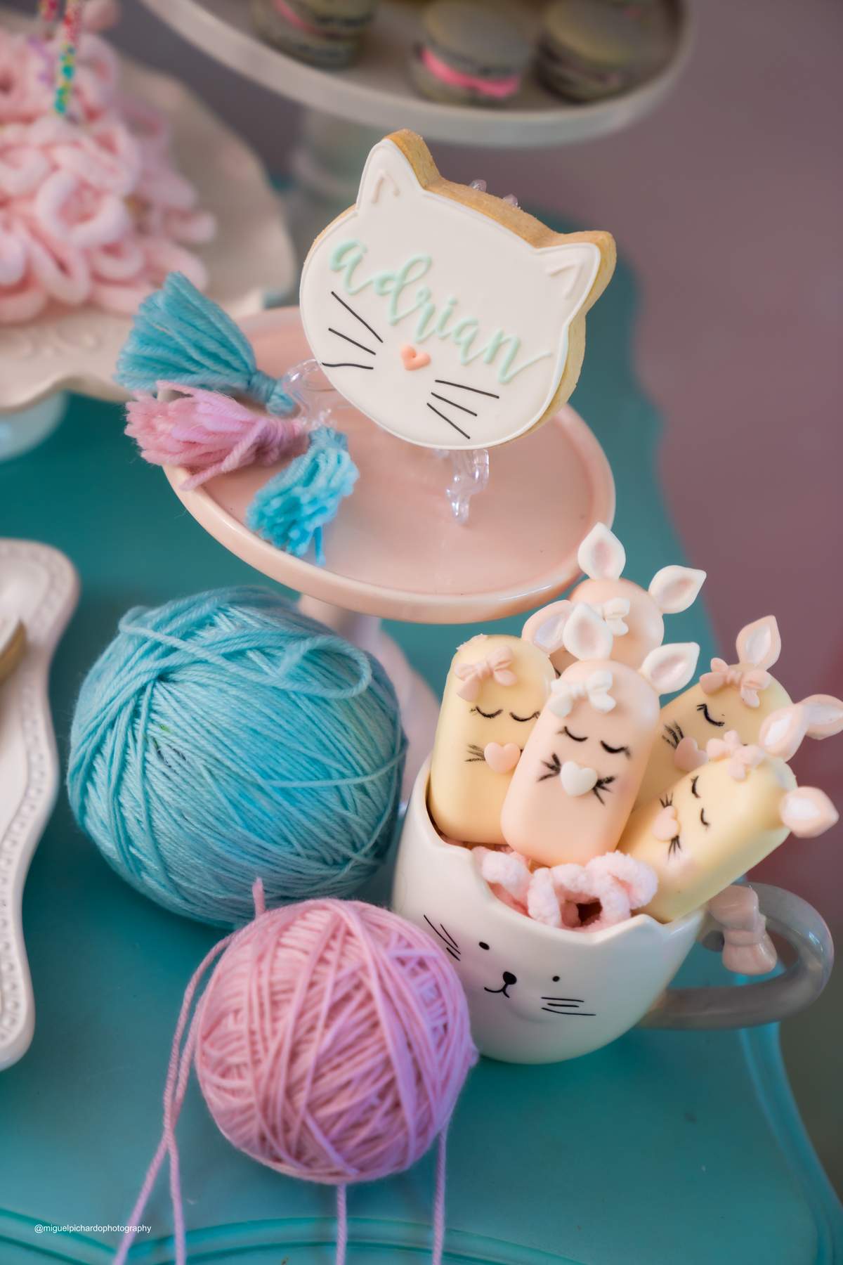 Cats Birthday Party Ideas | Photo 2 of 71 | Catch My Party