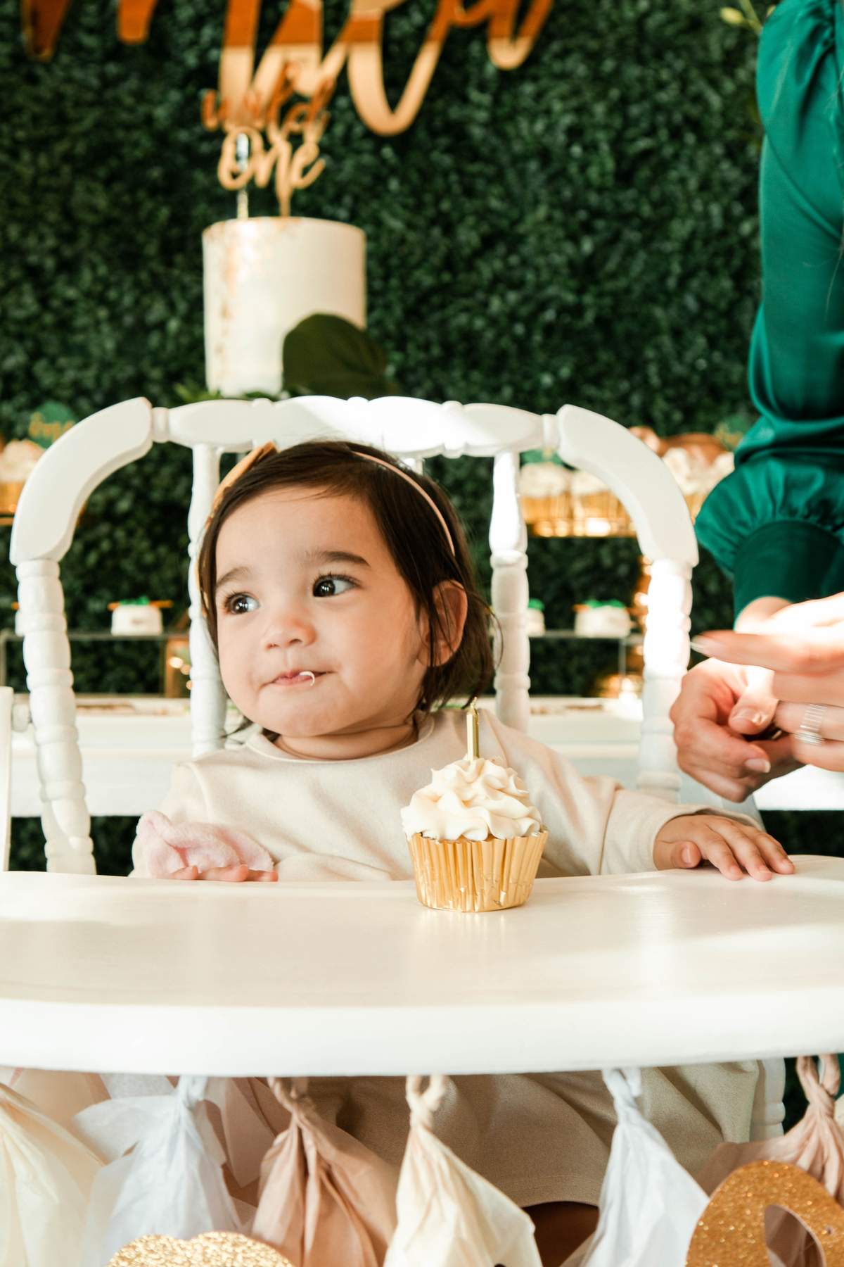 Wild One Birthday Party Ideas | Photo 14 of 42 | Catch My Party