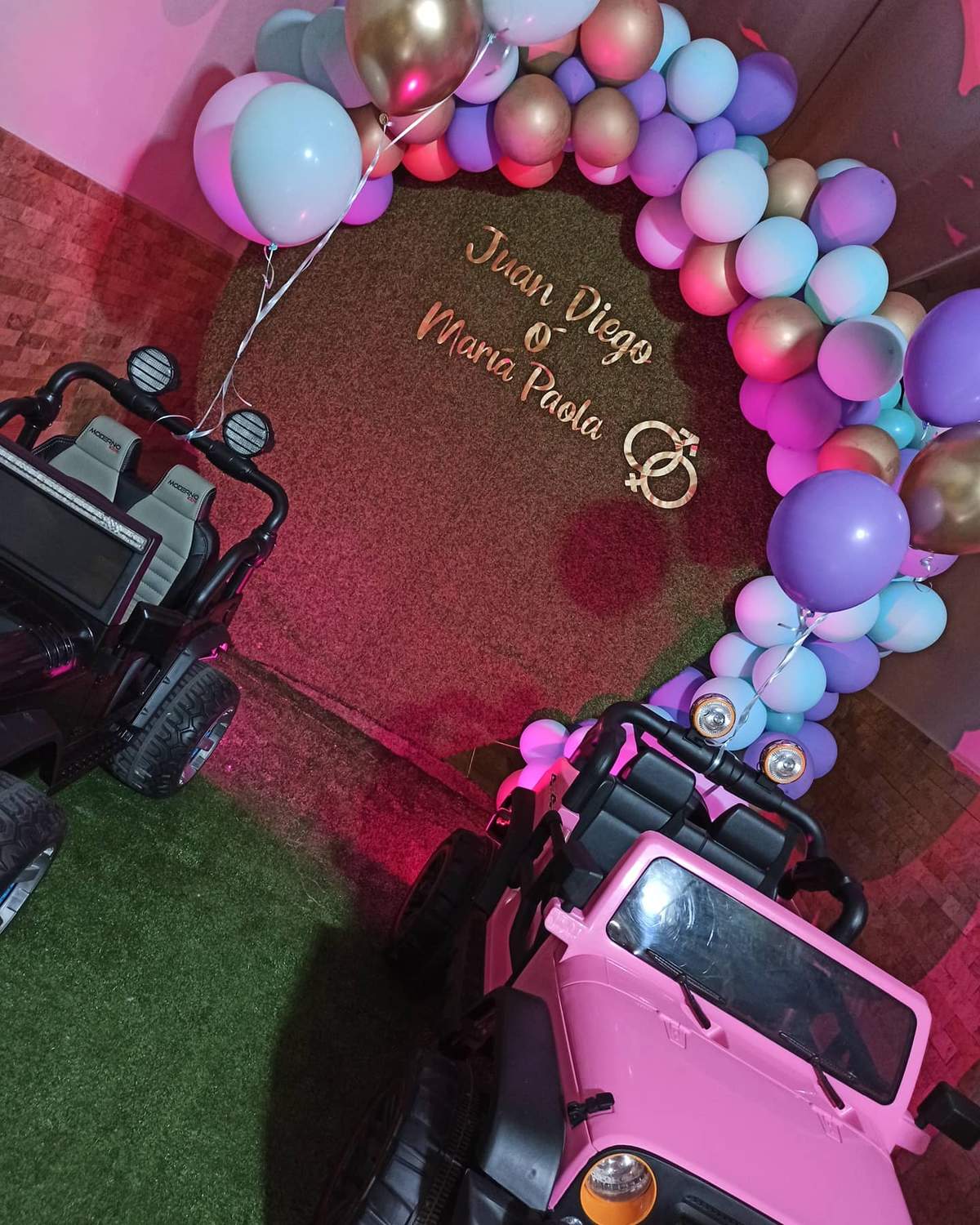 Carrera de Autos Gender Reveal Party Ideas | Photo 1 of 2 | Catch My Party