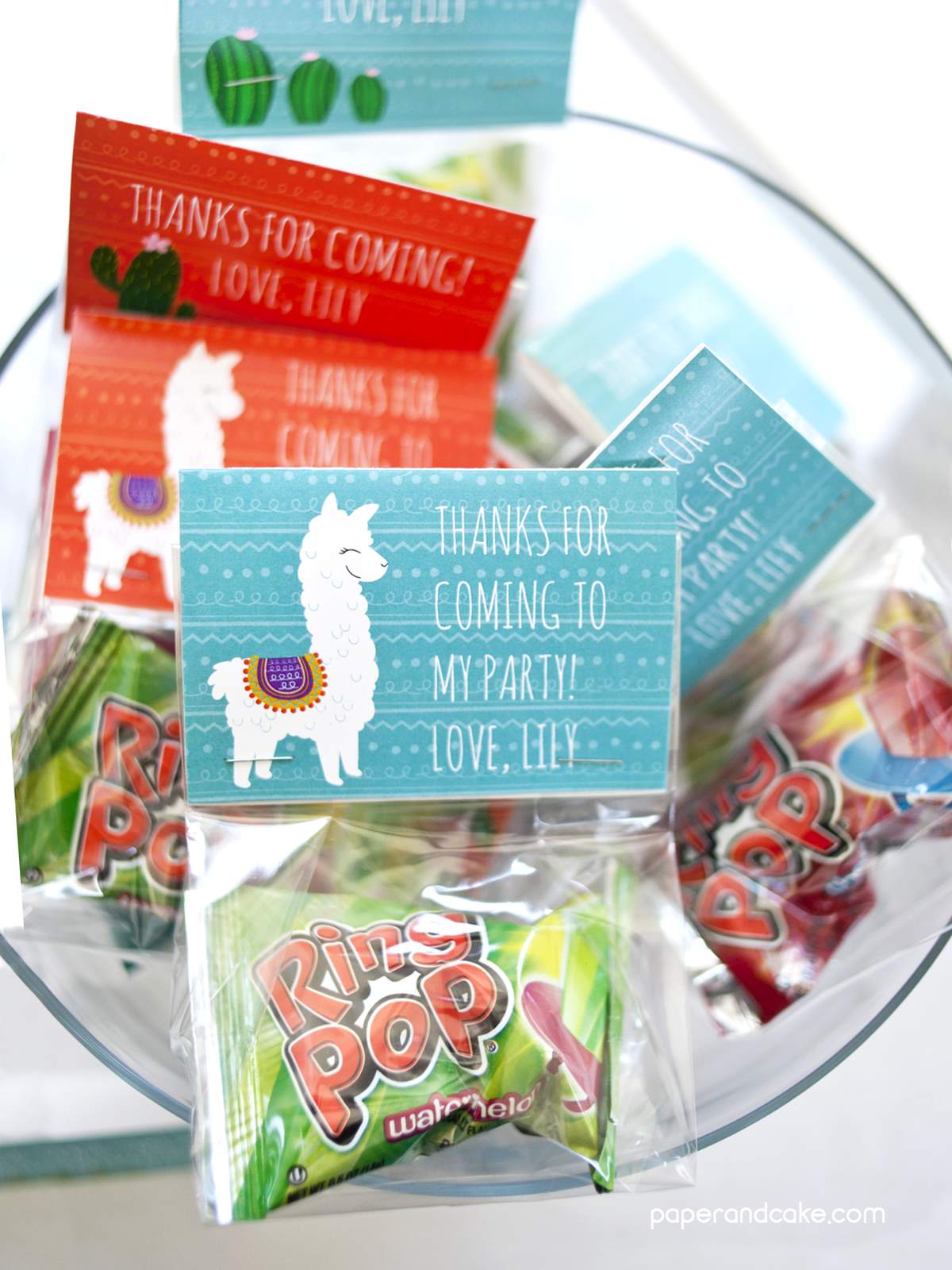 Alpacas Birthday Party Ideas | Photo 5 of 17 | Catch My Party