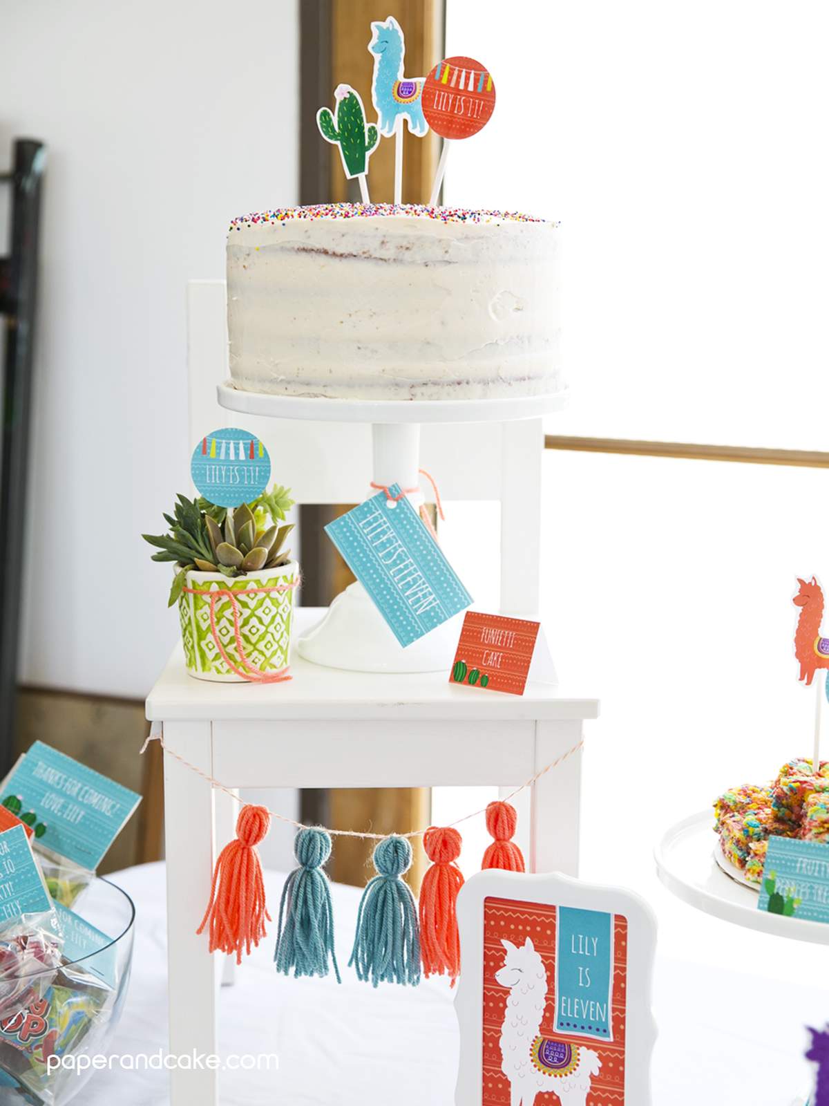 Alpacas Birthday Party Ideas | Photo 10 of 17 | Catch My Party