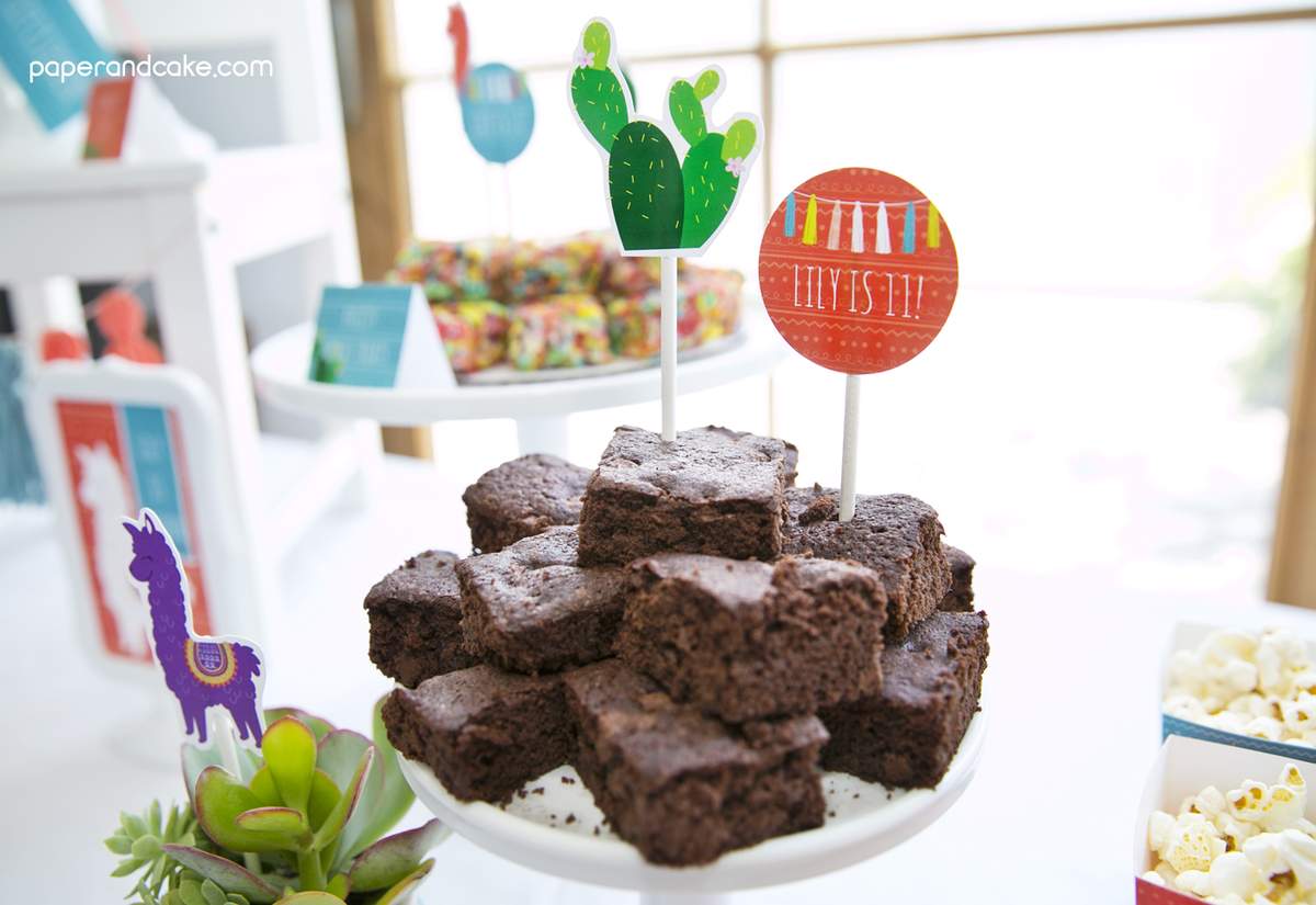 Alpacas Birthday Party Ideas | Photo 5 of 17 | Catch My Party