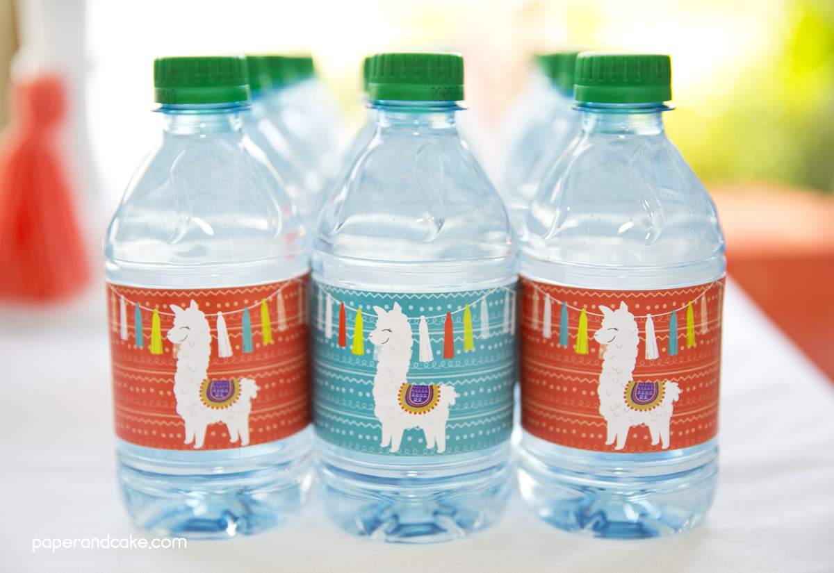 Alpacas Birthday Party Ideas | Photo 5 of 17 | Catch My Party