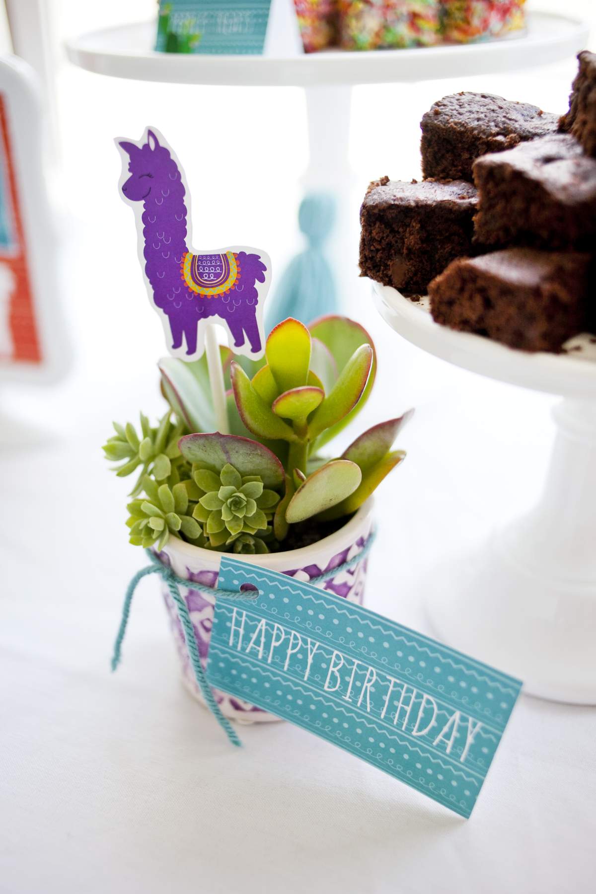 Alpacas Birthday Party Ideas | Photo 5 of 17 | Catch My Party