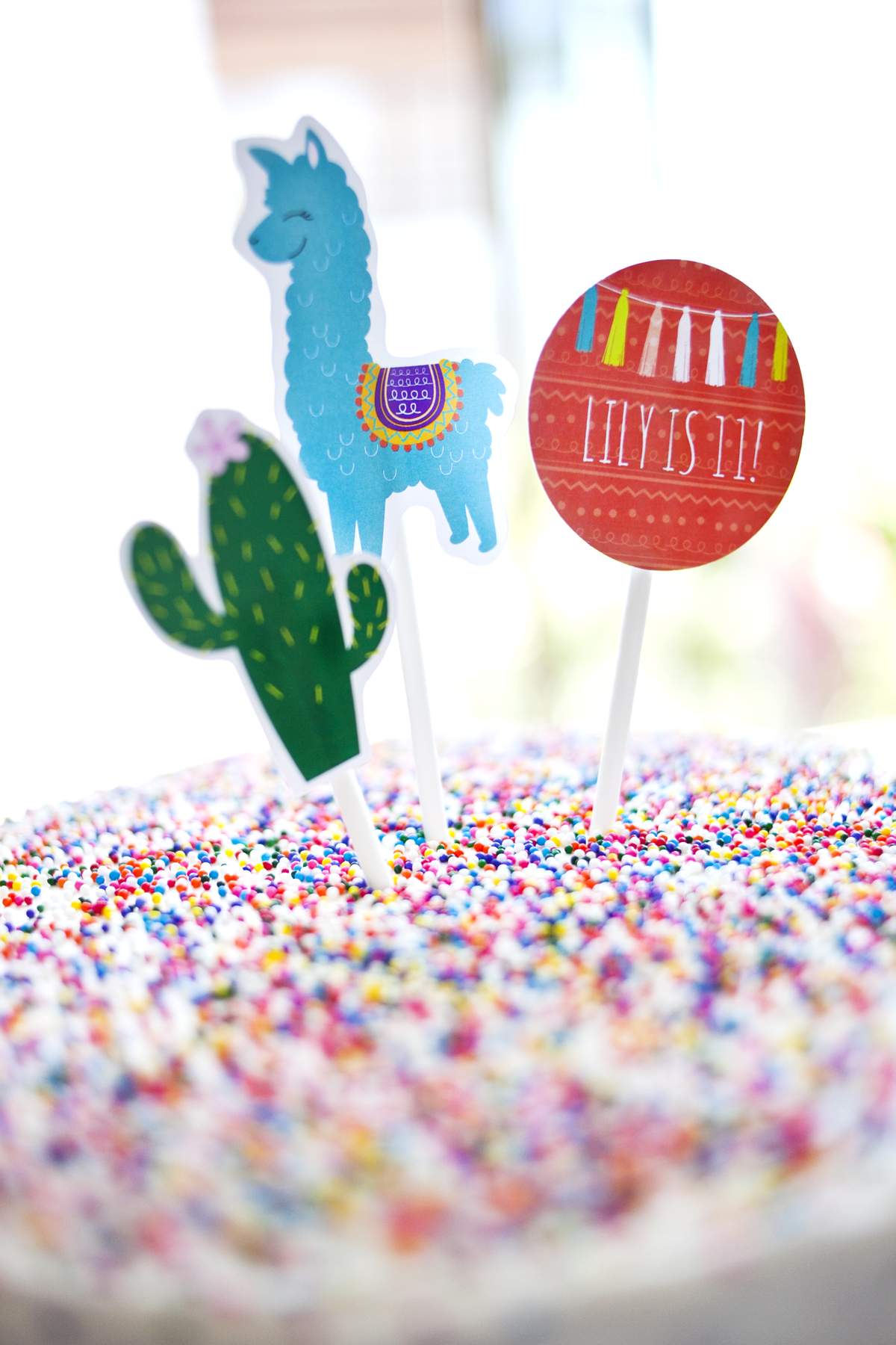 Alpacas Birthday Party Ideas | Photo 5 of 17 | Catch My Party