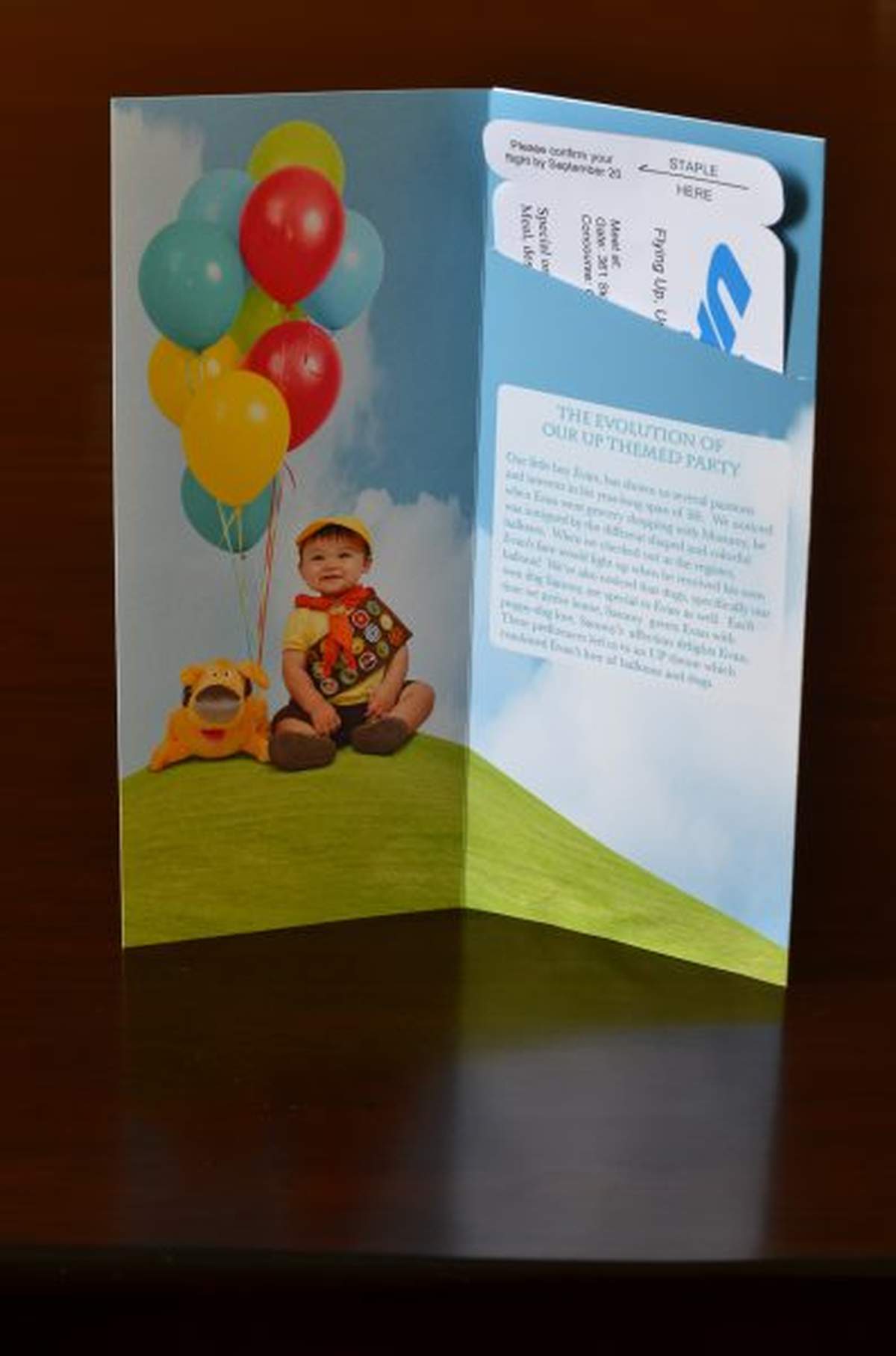 Disney Pixar's UP / Birthday "Someone is Growing UP!" | Catch My Party