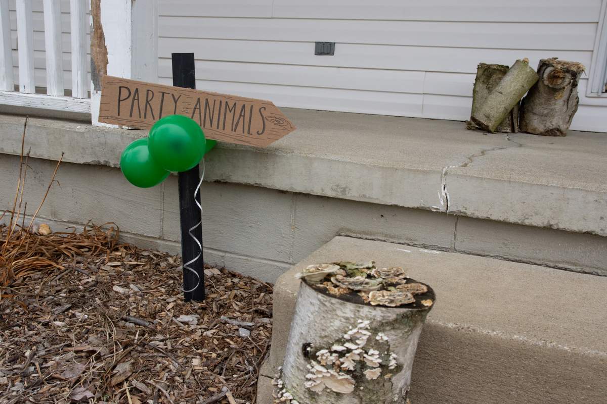 Wild Woodland Animals Birthday Party Ideas | Photo 36 of 44 | Catch My ...