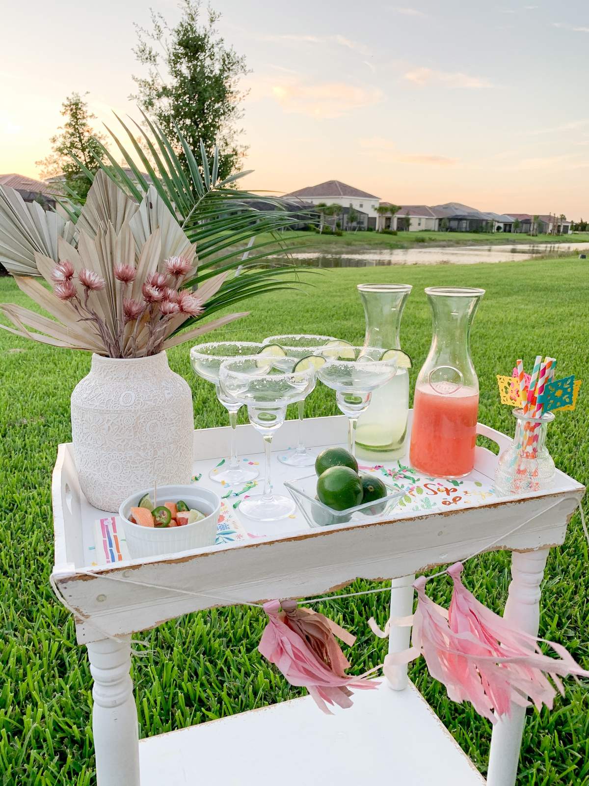 Fiesta / Mexican Summer Party Ideas | Photo 1 of 15 | Catch My Party