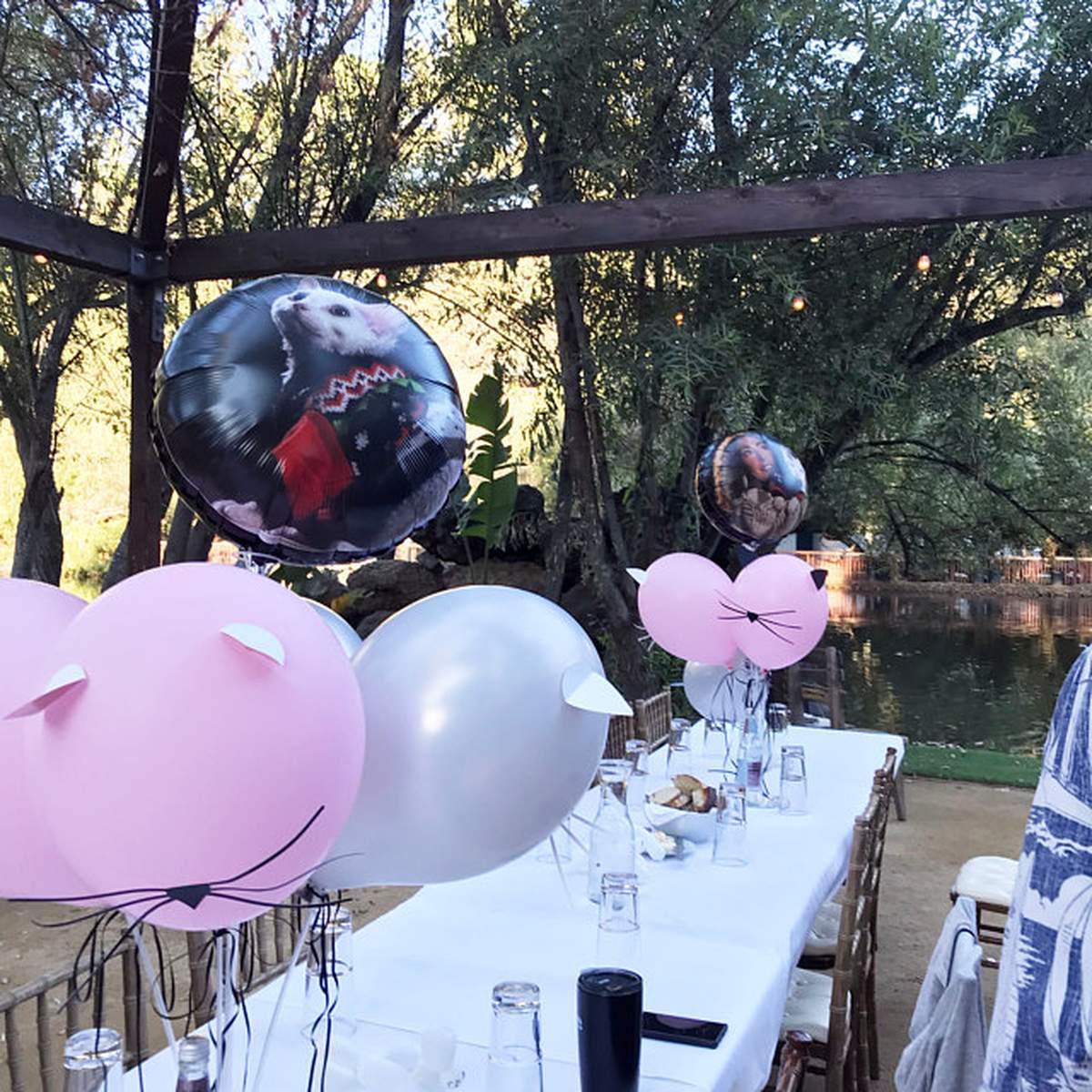 Cat Theme Dinner Party / Dinner Party "Funny Cat Theme Rehearsal Dinner ...