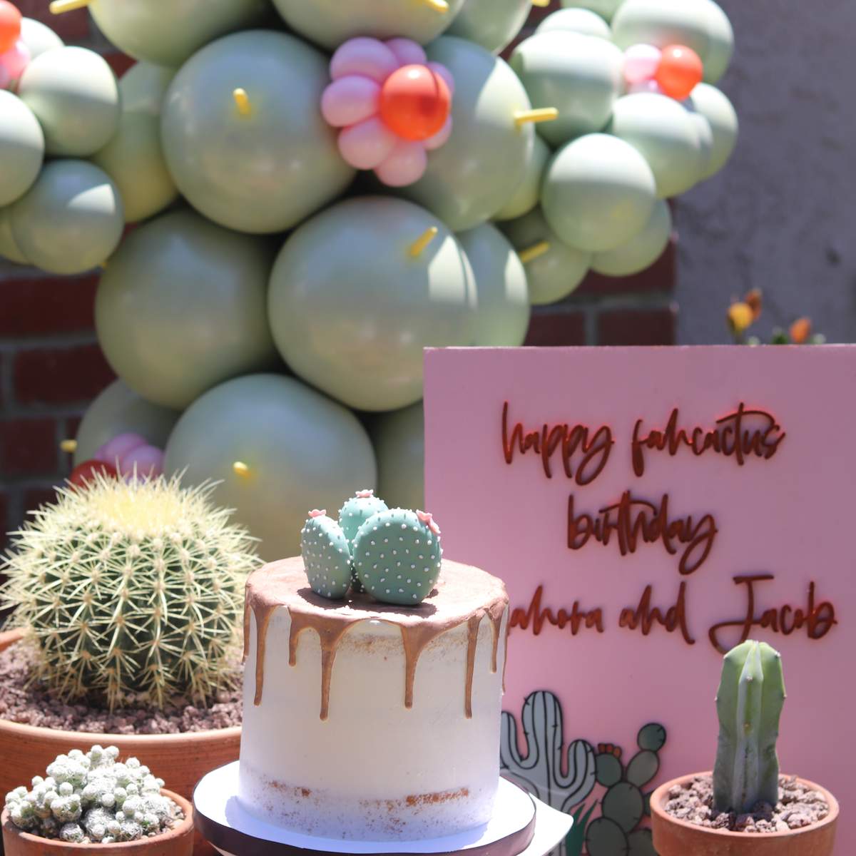 Cactus Birthday Party Ideas | Photo 20 of 35 | Catch My Party