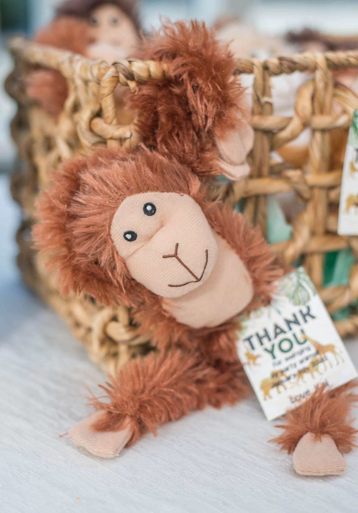 Pastel Wild One aka Party Animals Theme Birthday Party Ideas | Photo 13 ...