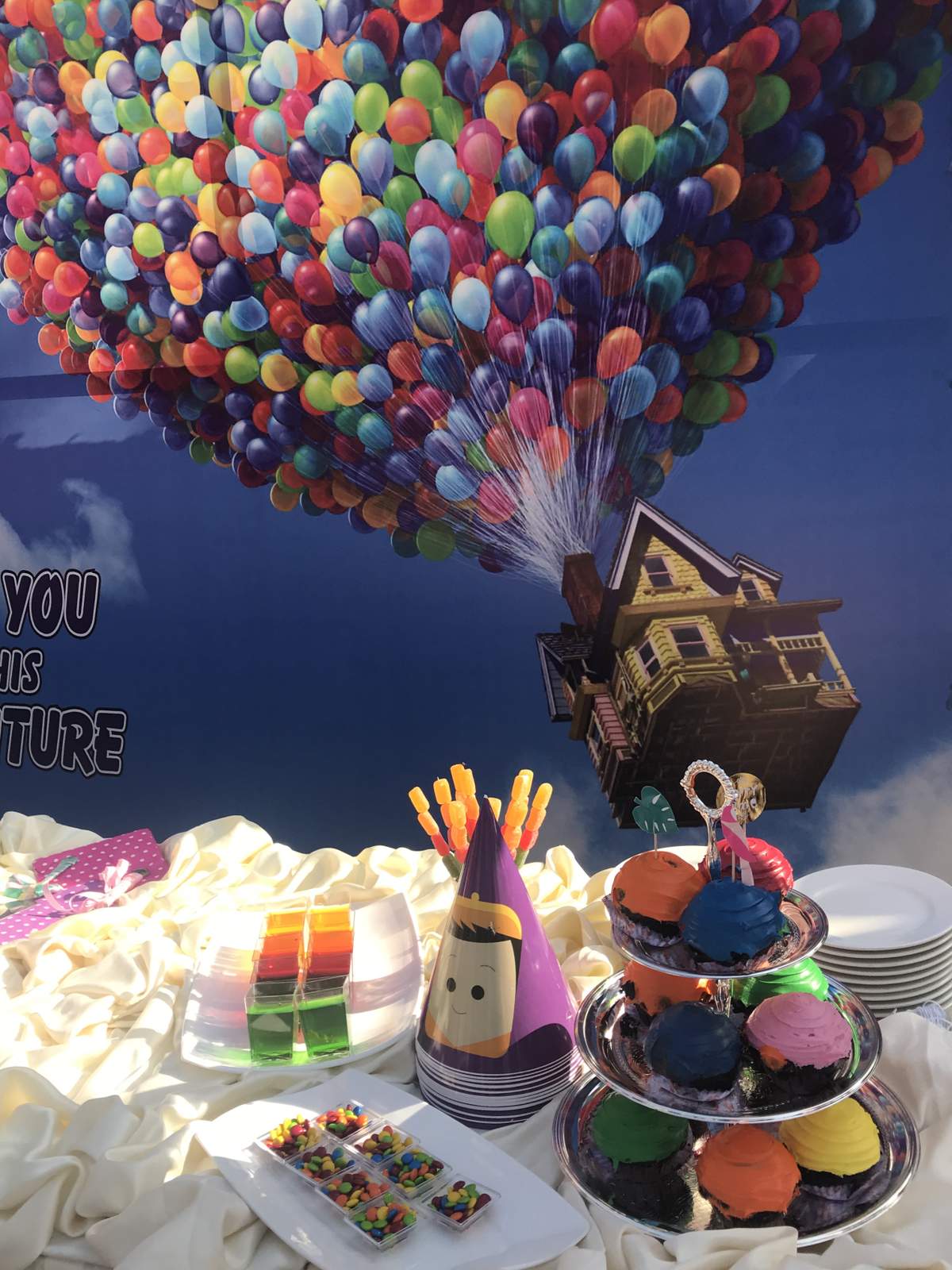 Up Movie Birthday Party Ideas | Photo 1 of 12 | Catch My Party